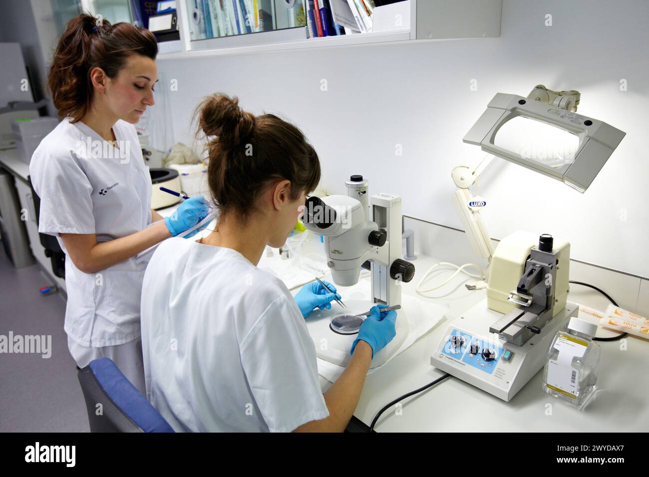 Dissection biopsy hi-res stock photography and images - Alamy