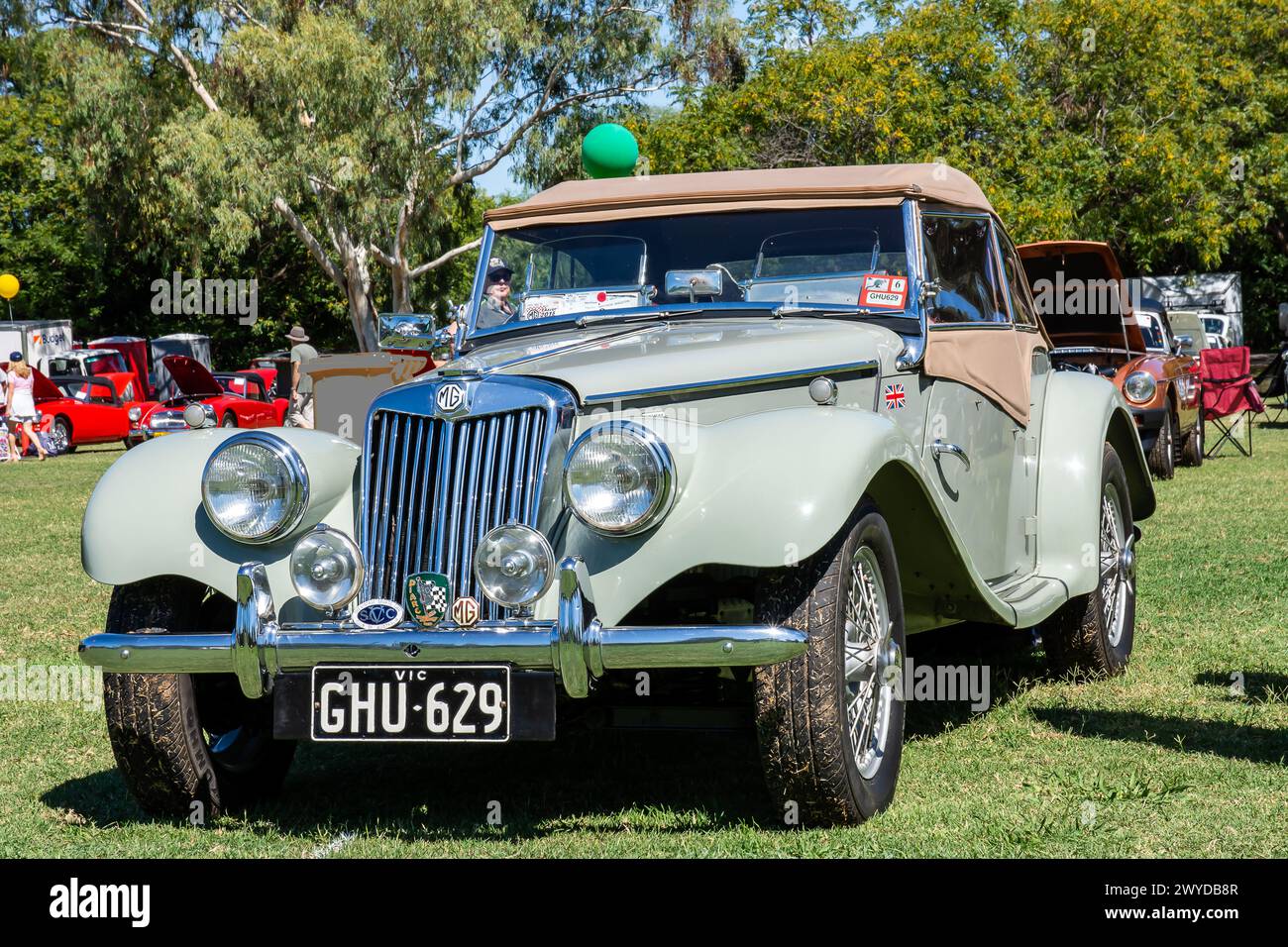 1955 MG TF 1500 sports car on display at the MG Centenary National ...