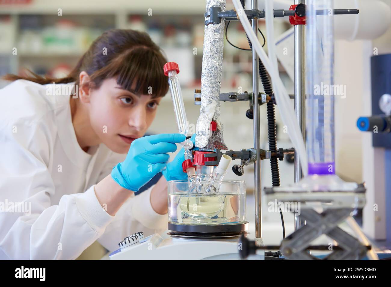 Distillation assembly. ATEX Laboratory. Energy and Environment Division ...