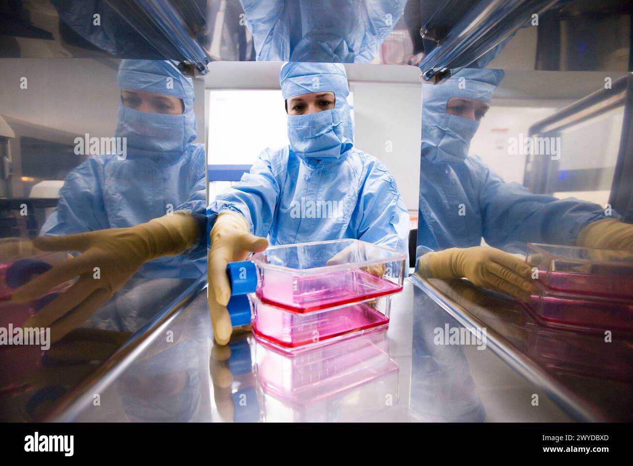 SAS window, clean room, DMEM (Dulbeco´s Modified Eagle´s Medium ...