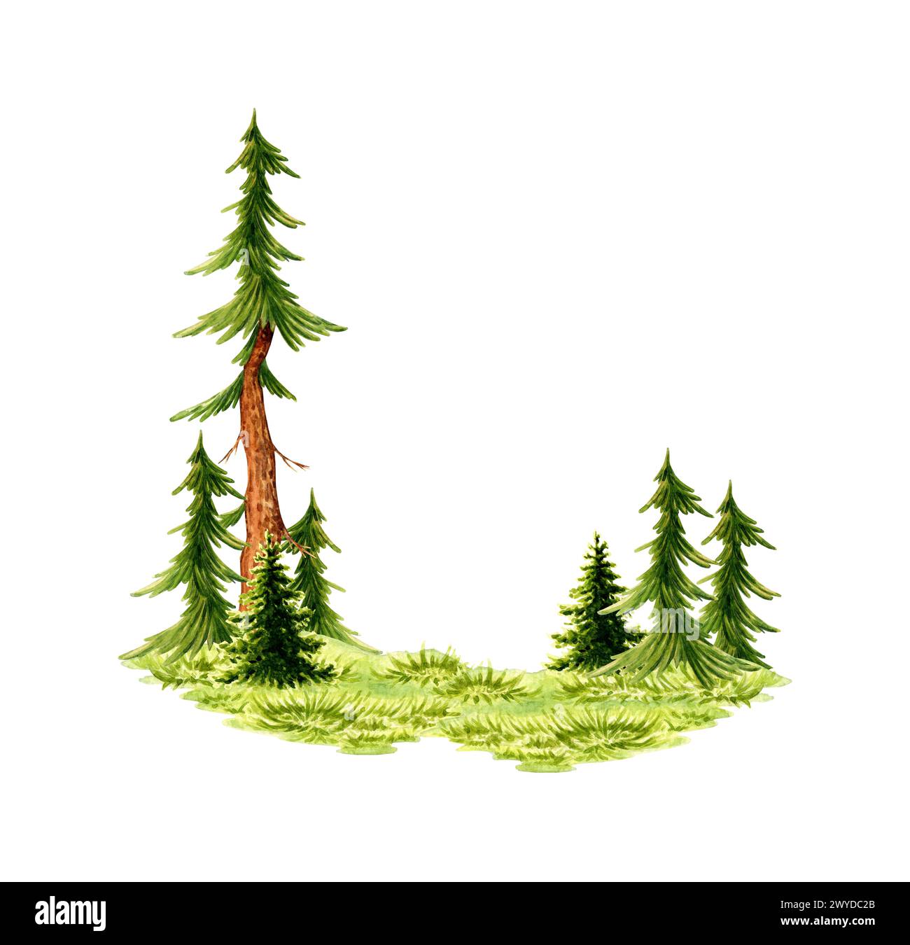 Watercolor illustration of natural landscape element. Forest scene of ...