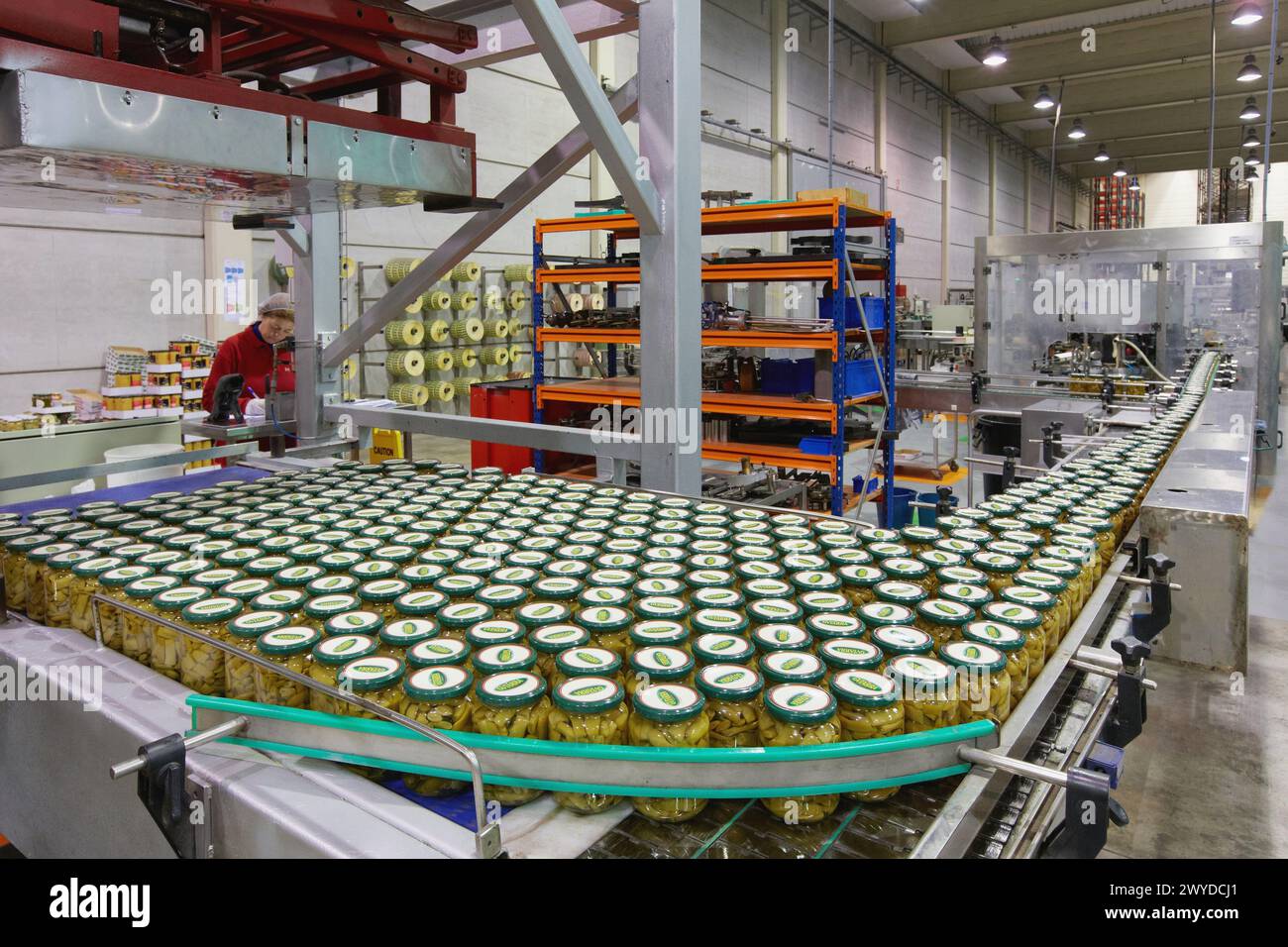 Labeling and packaging canned vegetables, Green bean, Canning Industry ...