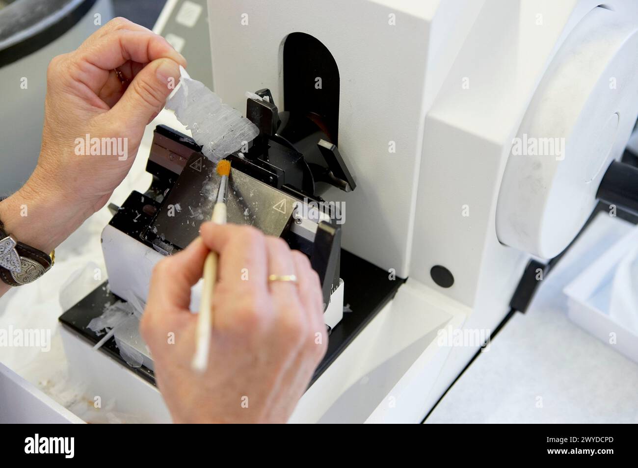 Rotary Paraffin Microtome, preparing tissue sample, pathological ...