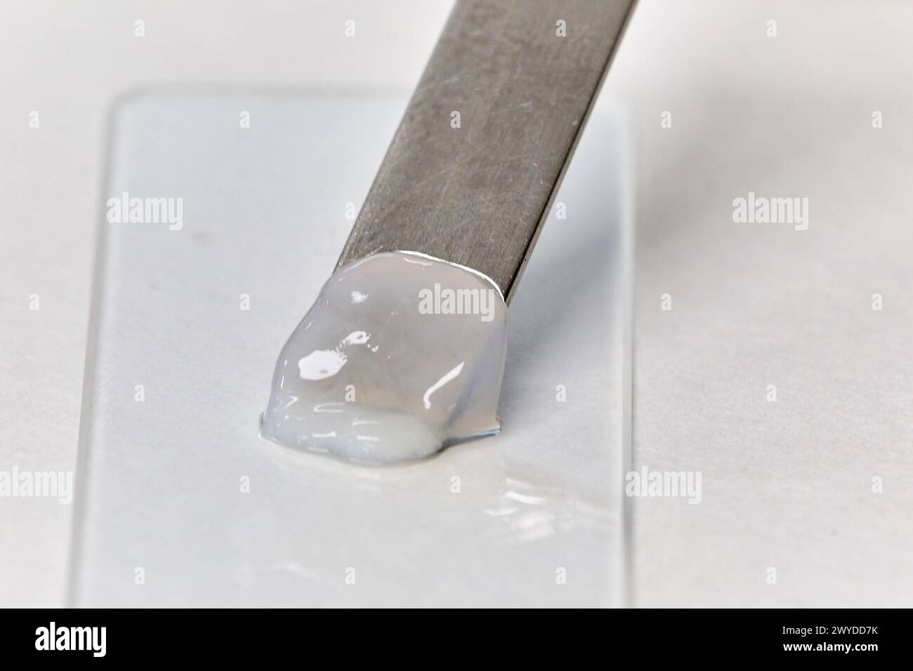 FATRIX, Decellularized regenerative matrix oriented to the treatment of ...