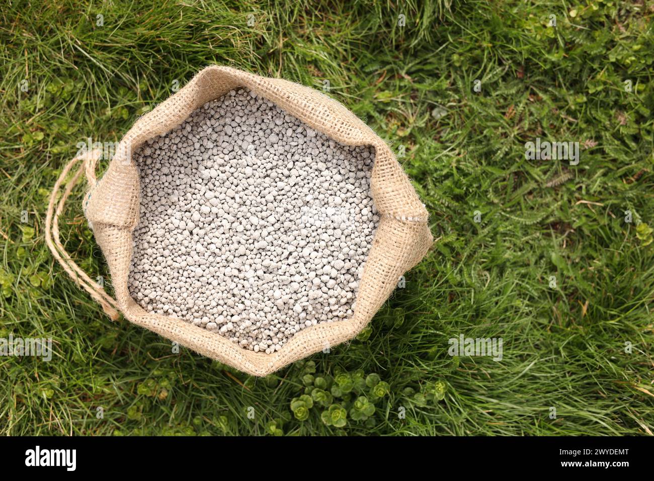 Fertilizer in bag on green grass outdoors, top view. Space for text ...