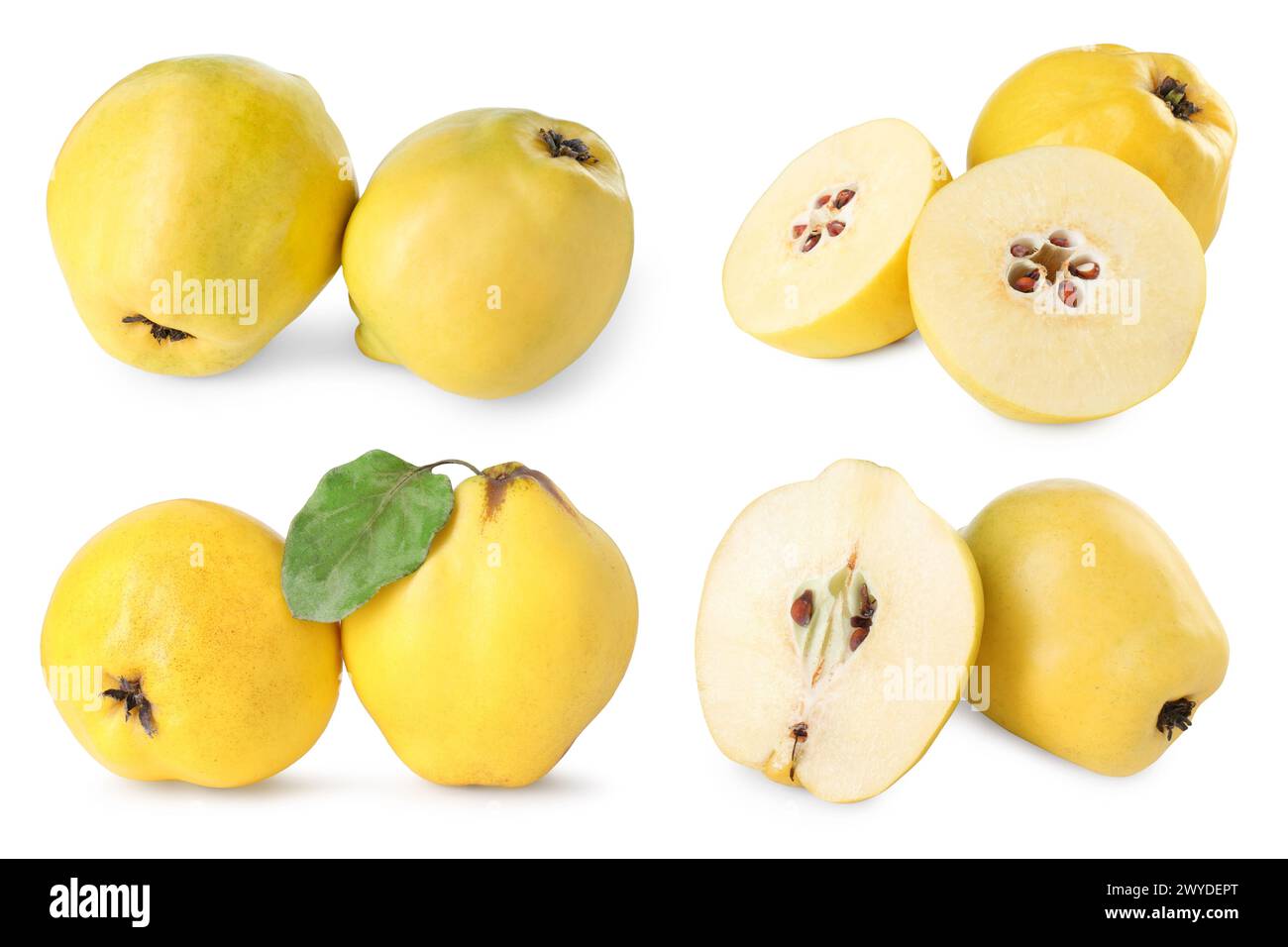Fresh ripe quince fruits isolated on white, set Stock Photo - Alamy