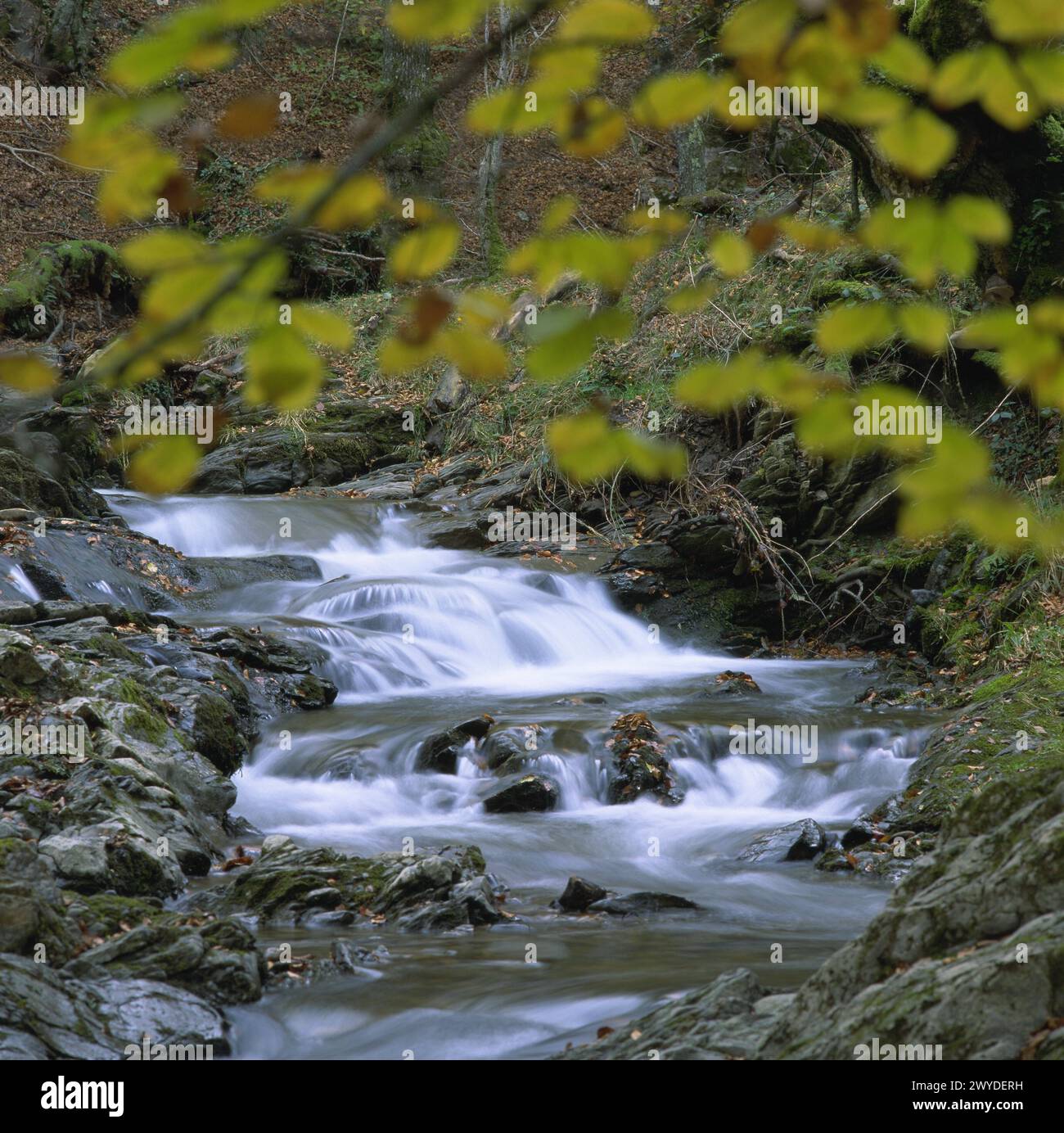 Alzania River. Otzaurte. Guipúzcoa. Spain Stock Photo - Alamy