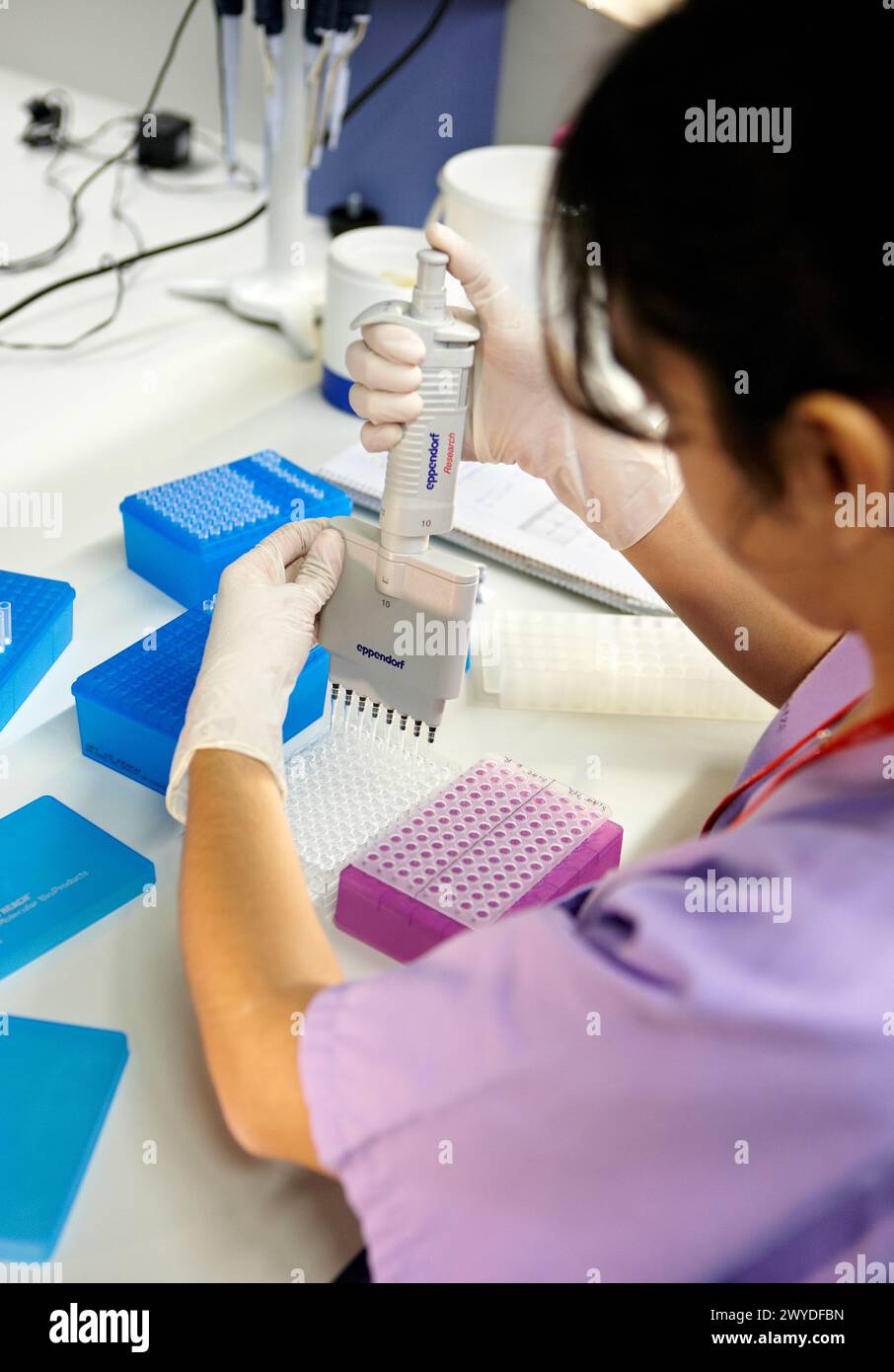 Preparing samples for DNA sequencing, Genomics Unit, DNA and RNA ...