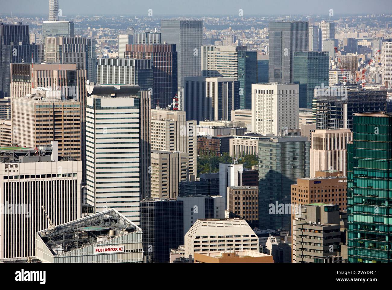 Tokyo City View, Roppongi Hills Mori Tower, Tokyo, Japan Stock Photo ...