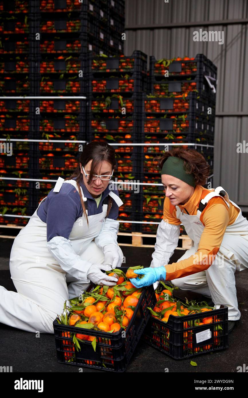 Azti-Tecnalia researchers, Cleanfeed project (prevention of vegetal ...