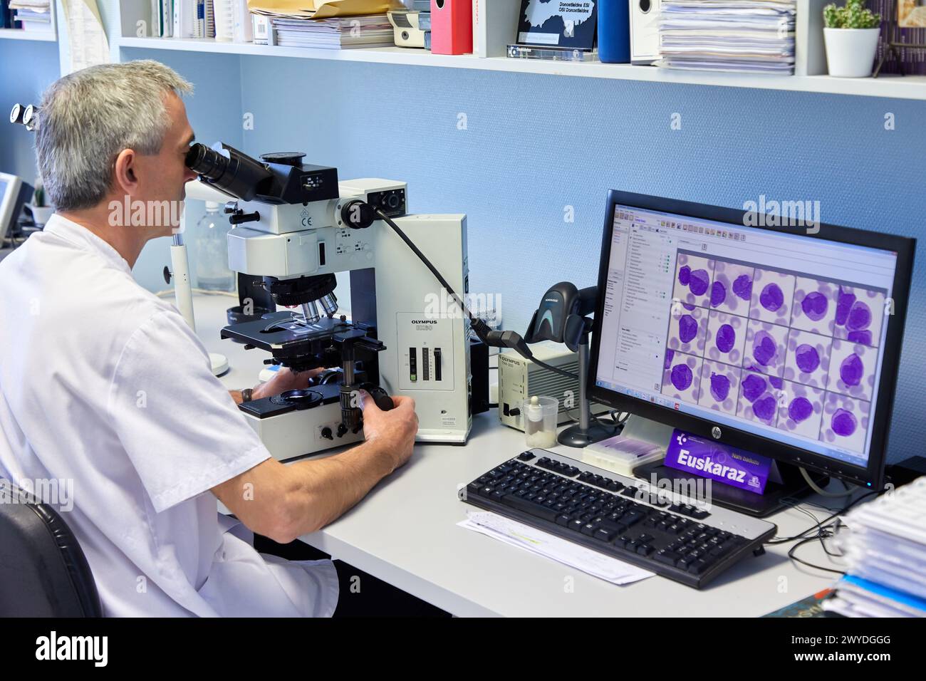 Analysis of samples in a microscope, Clinical analysis, Hematology ...