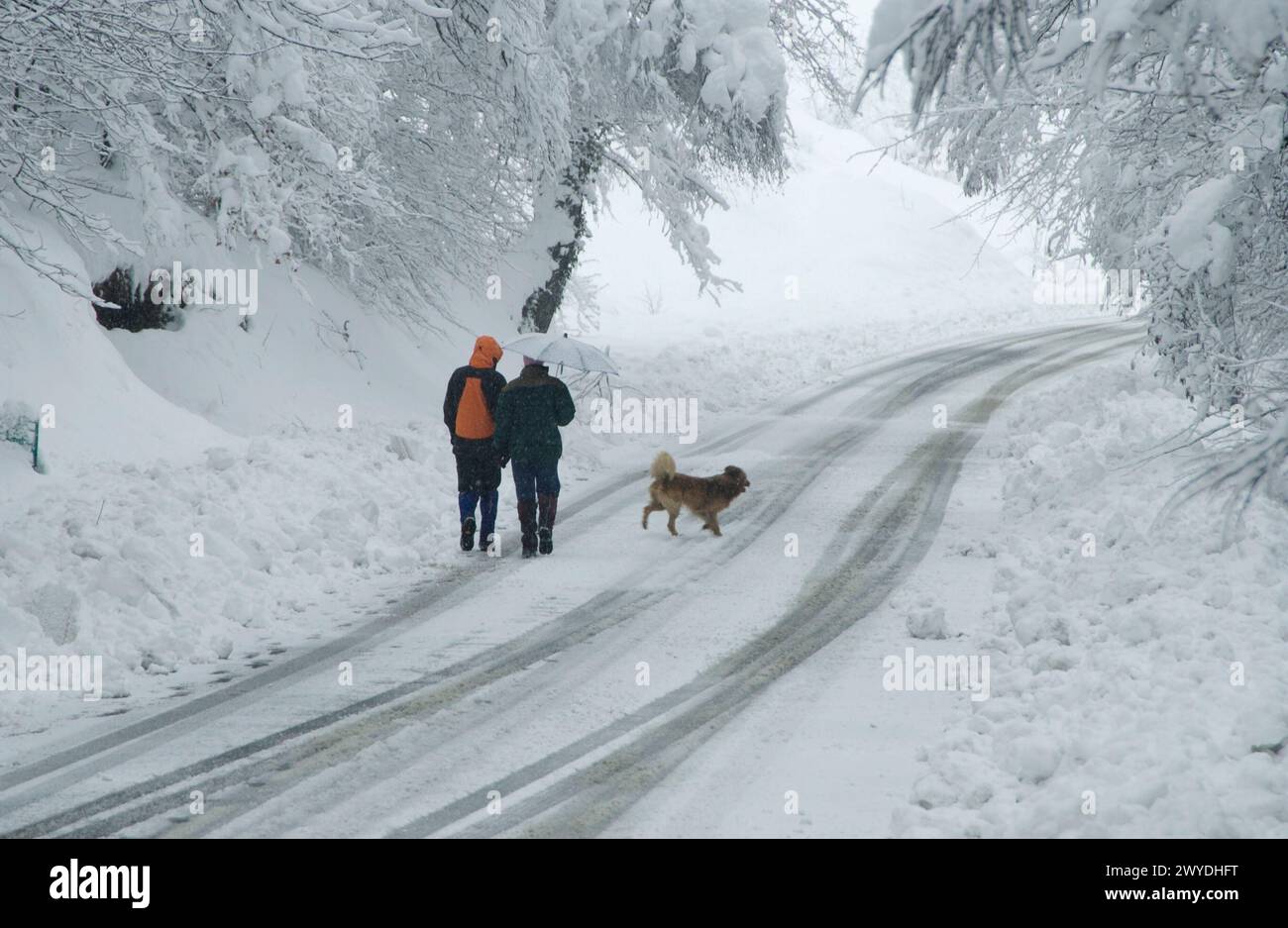 Snow, Legazpi. Guipúzcoa, Spain Stock Photo - Alamy
