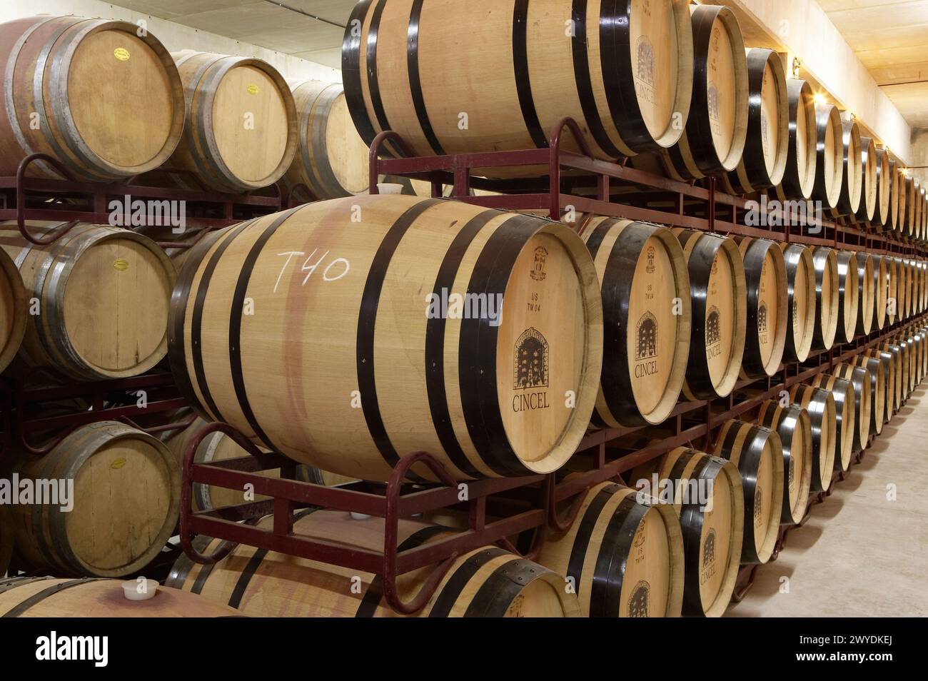 Maturing Rioja wine in oak casks. Bodegas Virgen del Valle, Samaniego ...