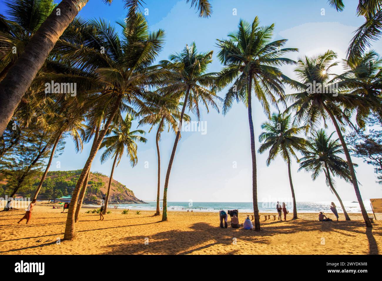 Panorama of Amazing beach in southern India - Goa (or Kerala or ...