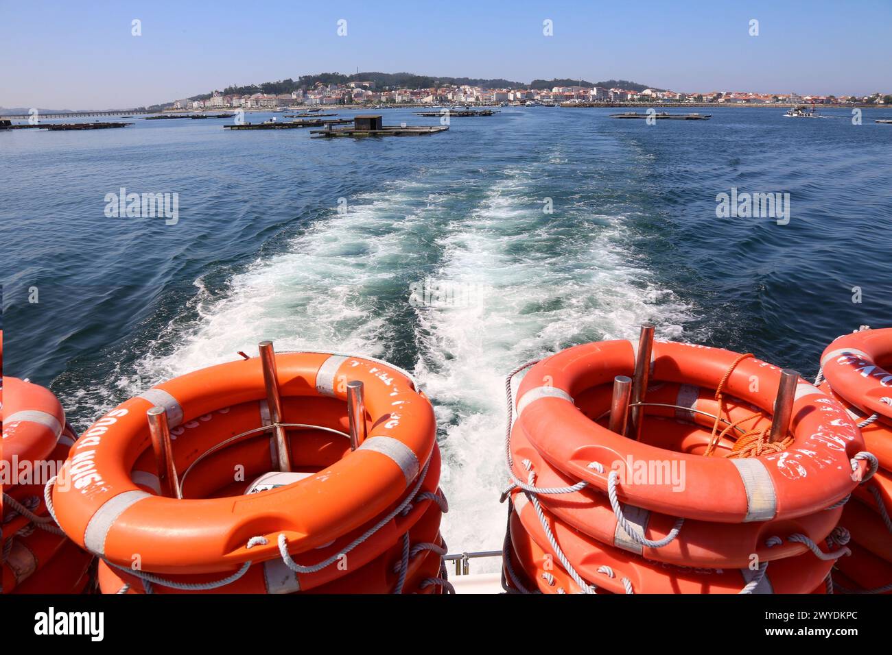 Catamaran sightseeing tour in the Ria de Arosa, visit semi-submerged ...