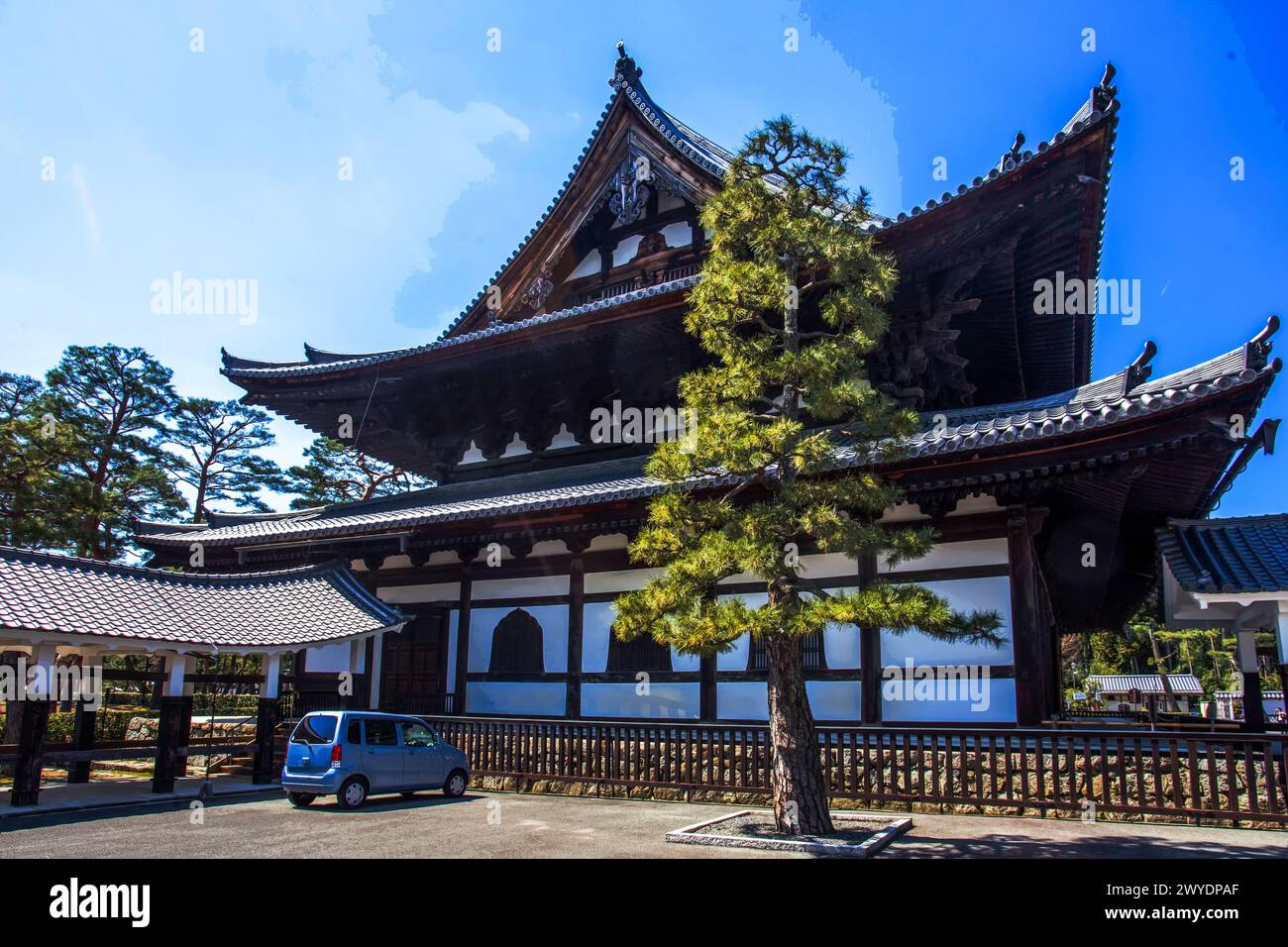 Huge temple - wooden buddhist temple (pagoda shape) and topiary pine ...