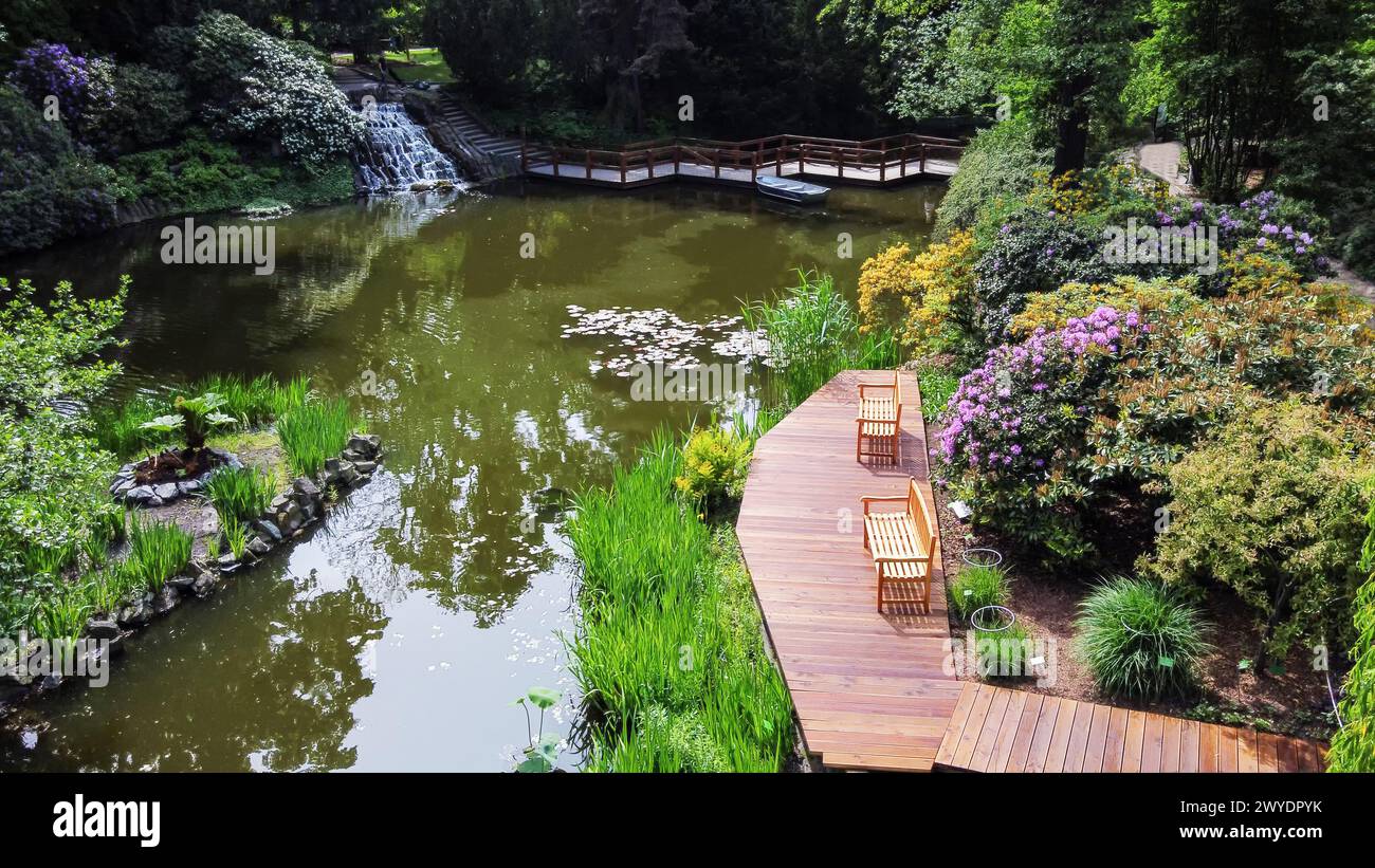 Amazing view on Wroclaw Botanical garden with pond and zigzag bridge ...