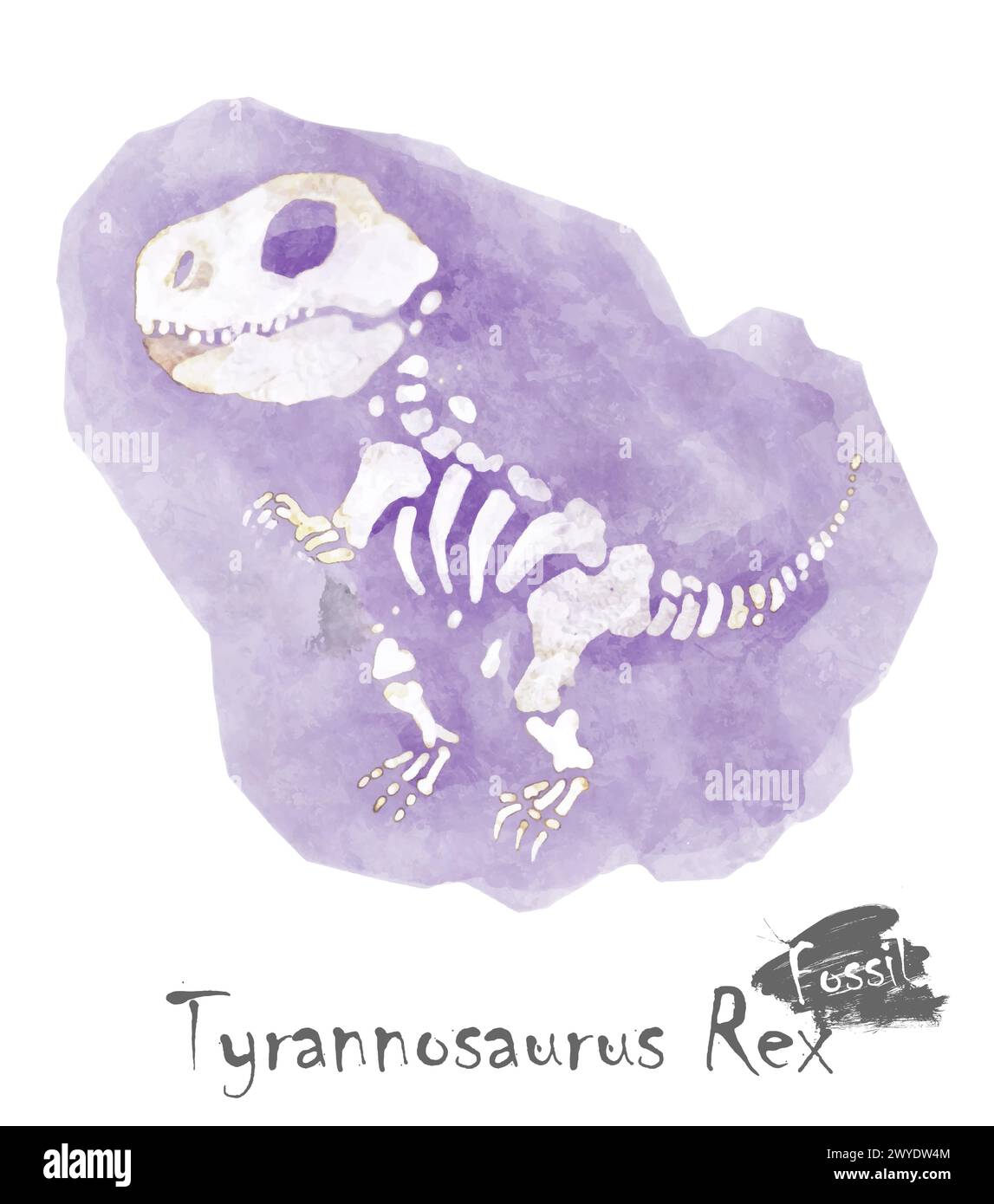 Fossil of Tyrannosaurus rex dinosaur in rock . Watercolor paint design . Vector Stock Vector ...