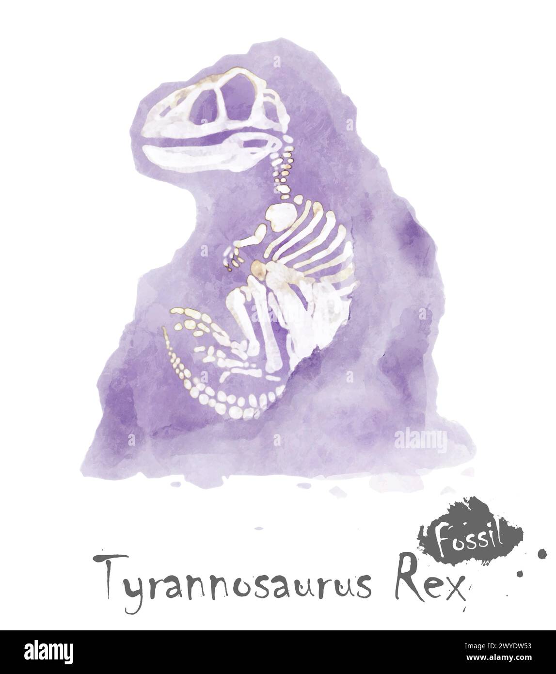 Fossil of Tyrannosaurus rex dinosaur in rock . Watercolor paint design . Vector Stock Vector ...