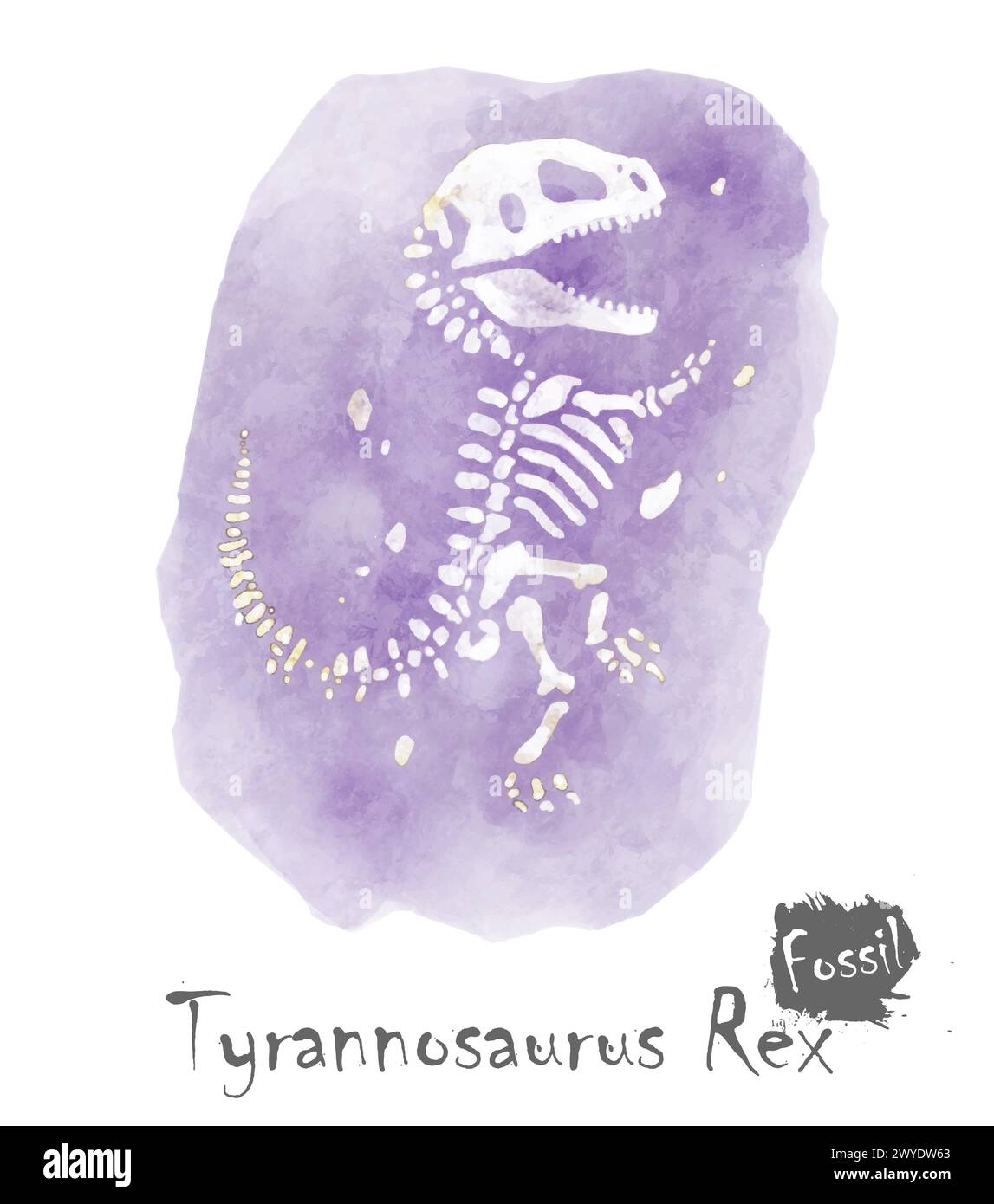 Fossil of Tyrannosaurus rex dinosaur in rock . Watercolor paint design . Vector Stock Vector ...