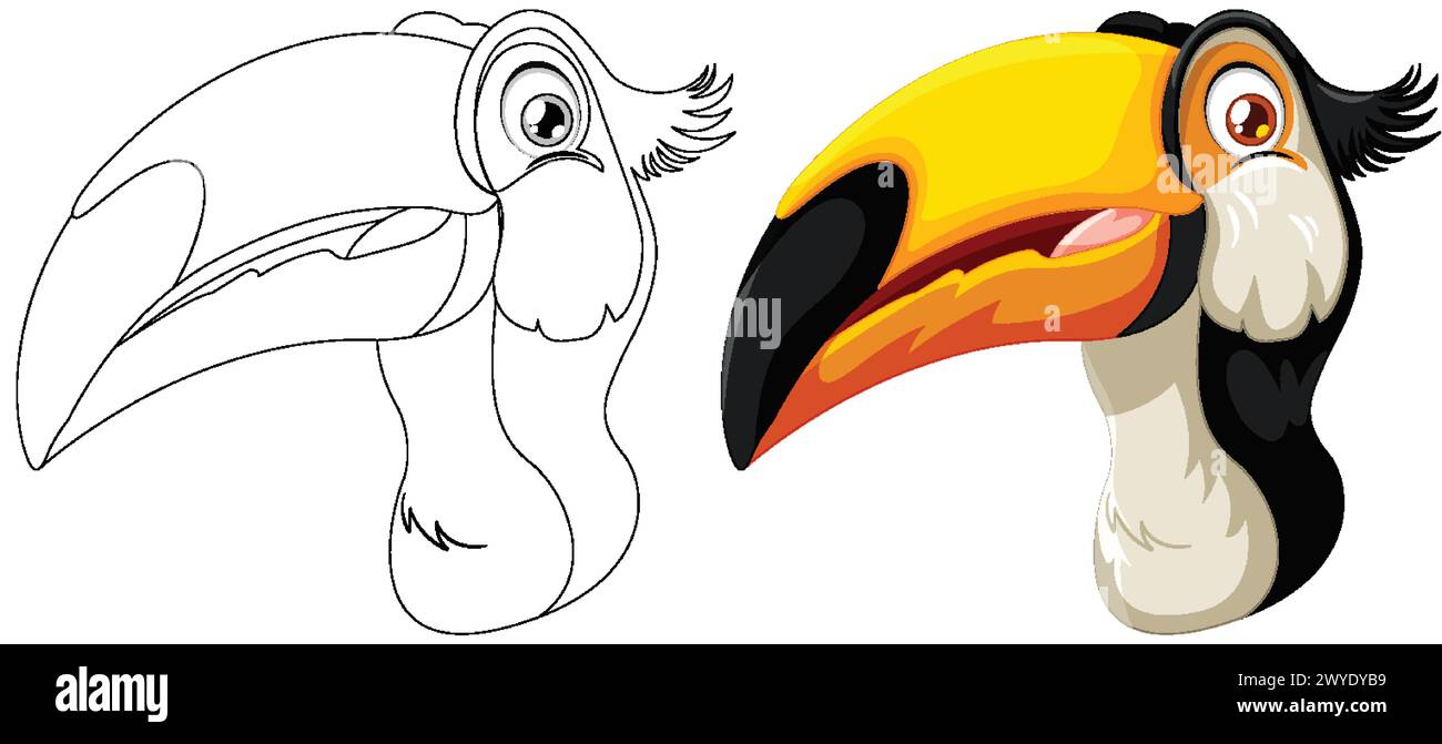 Vector art of a toucan, both colored and line art Stock Vector Image ...
