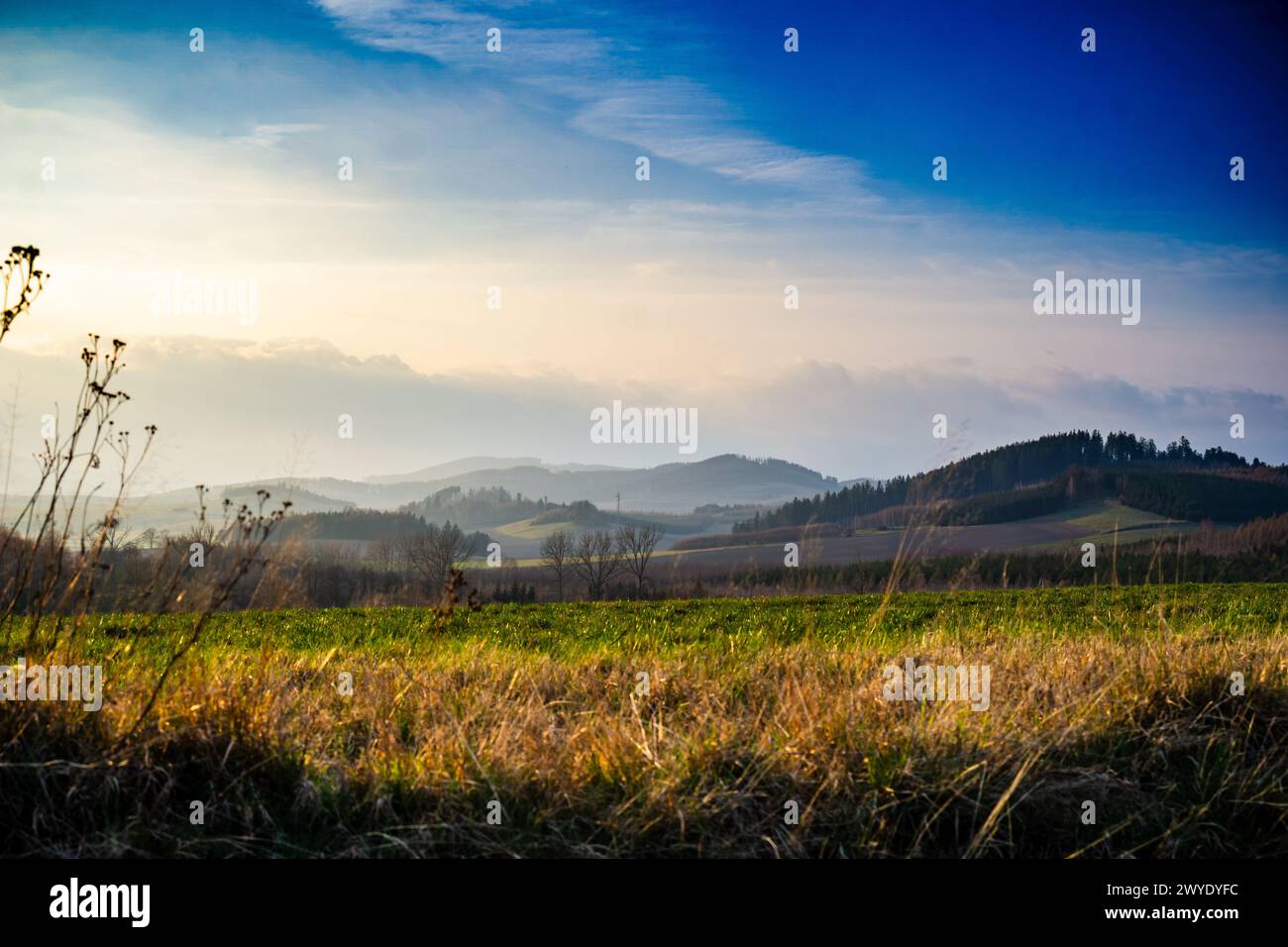 Habitat grassy hills hi-res stock photography and images - Alamy