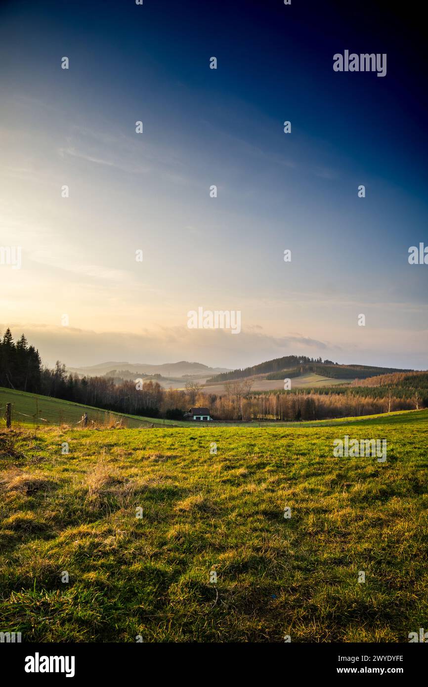 Grassy field with trees hi-res stock photography and images - Alamy