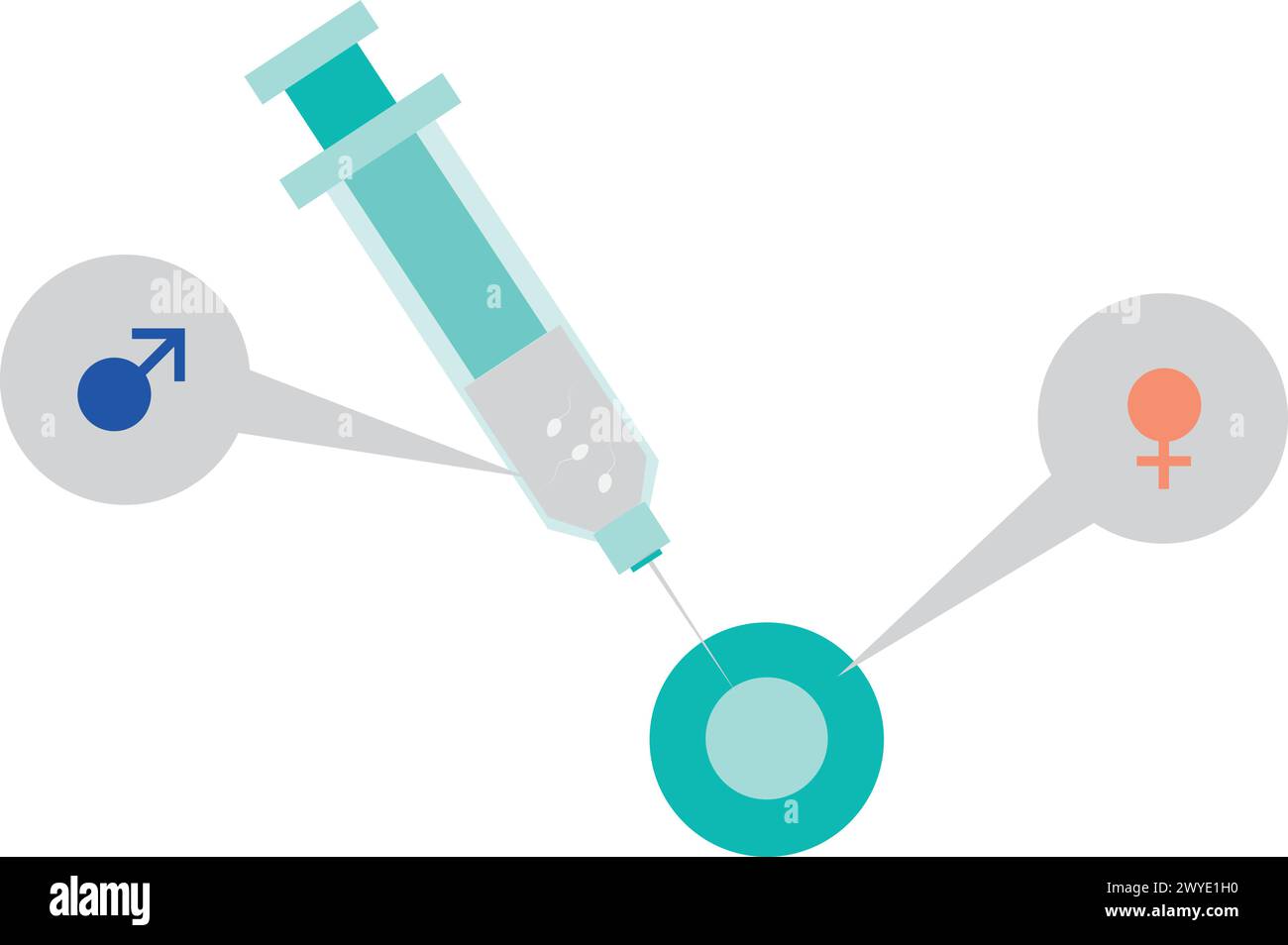 Syringe and egg ovum with injected sperm vector illustration ...