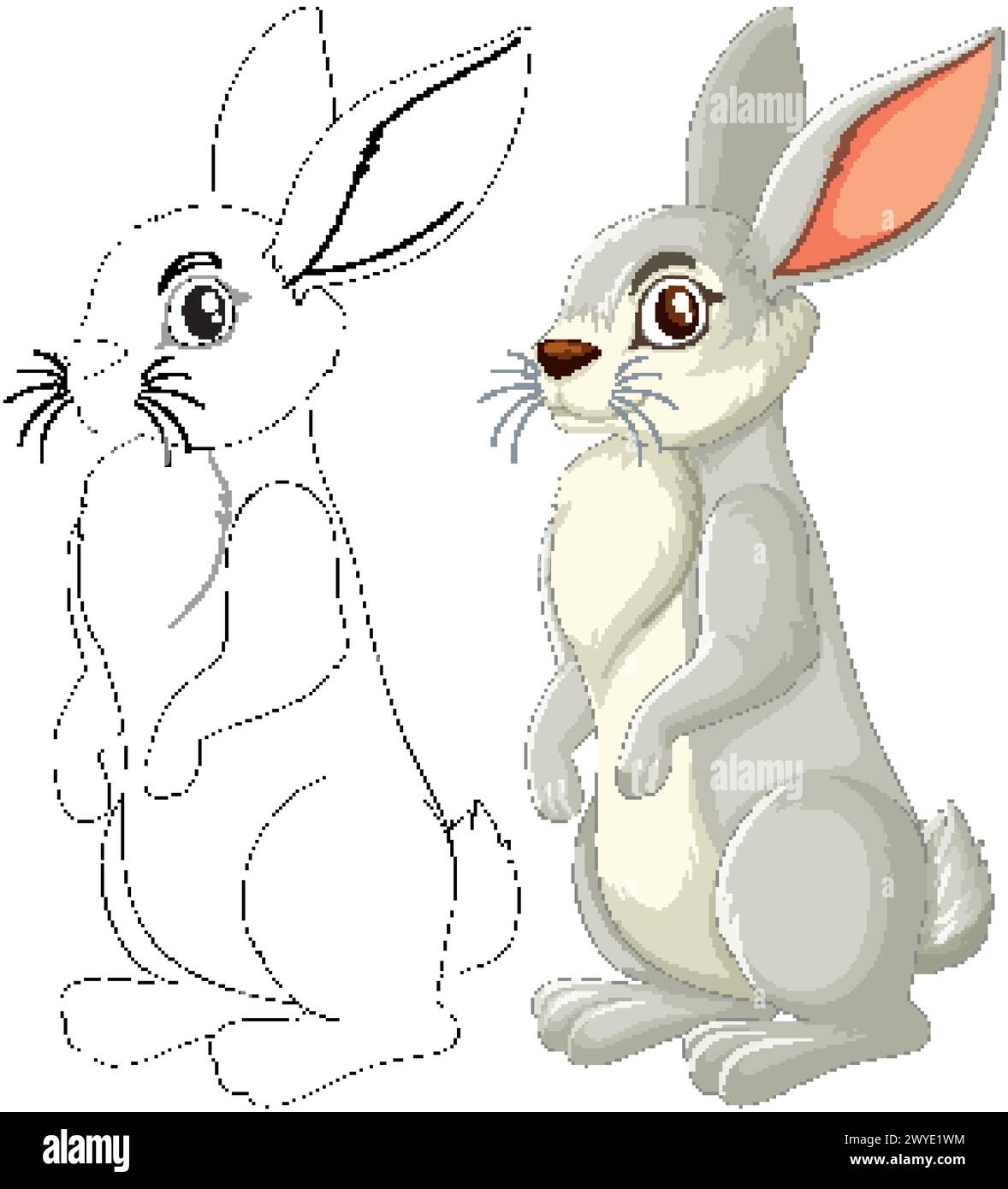 From sketch to color, two stages of rabbit illustration Stock Vector ...