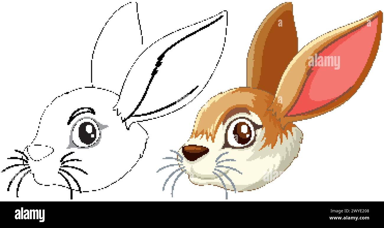 Transition from line art to full color rabbit Stock Vector Image & Art ...