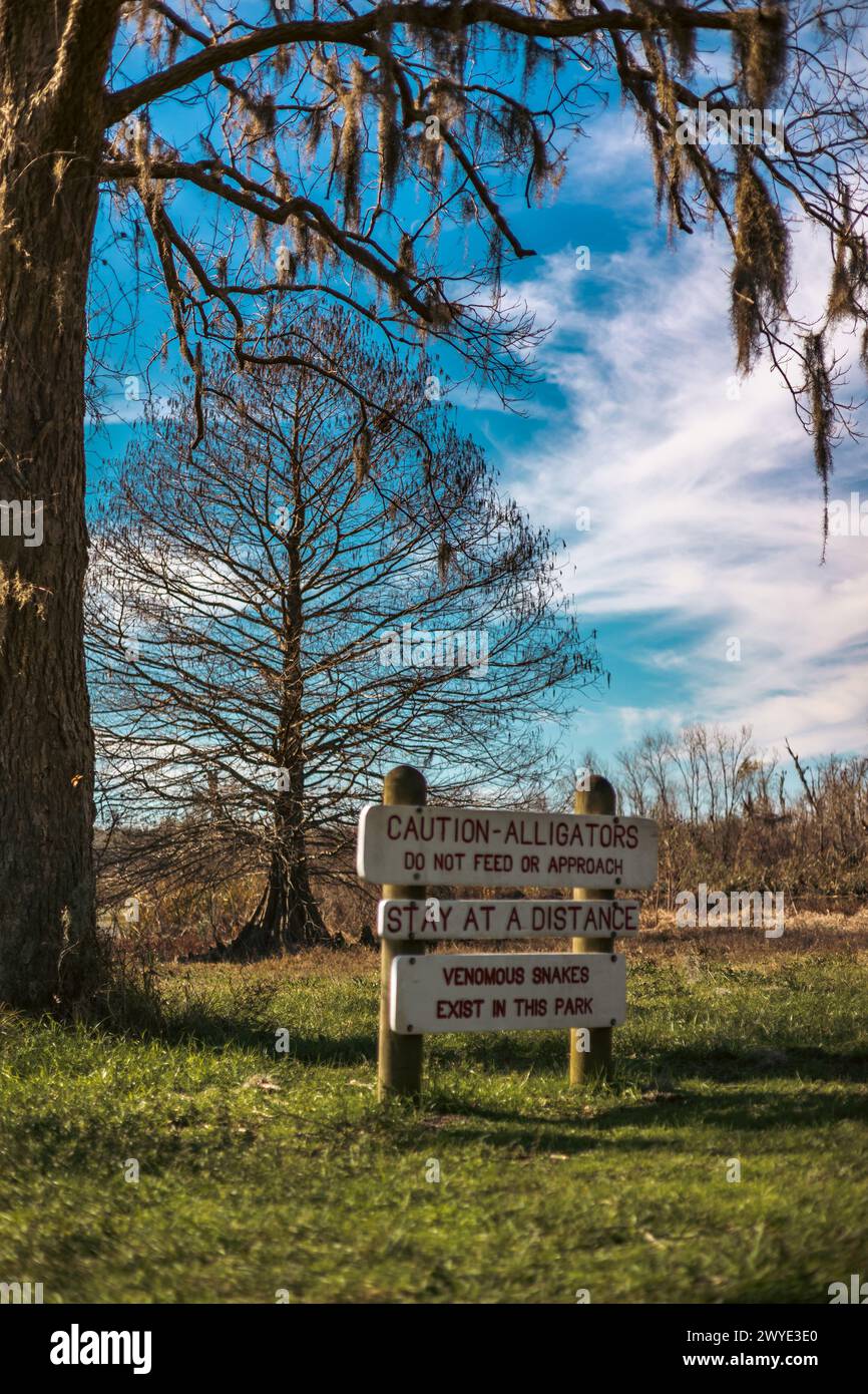 Bayou bend, houston, texas hi-res stock photography and images - Alamy