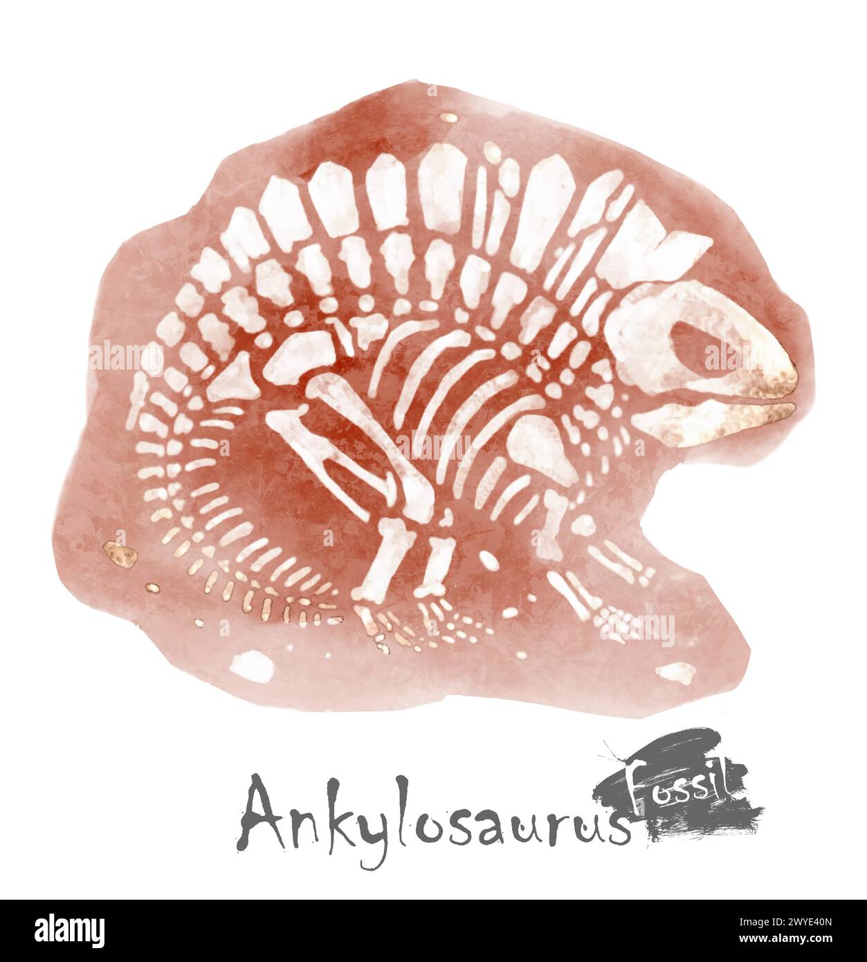 Fossil of Ankylosaurus dinosaur in rock . Watercolor paint design ...