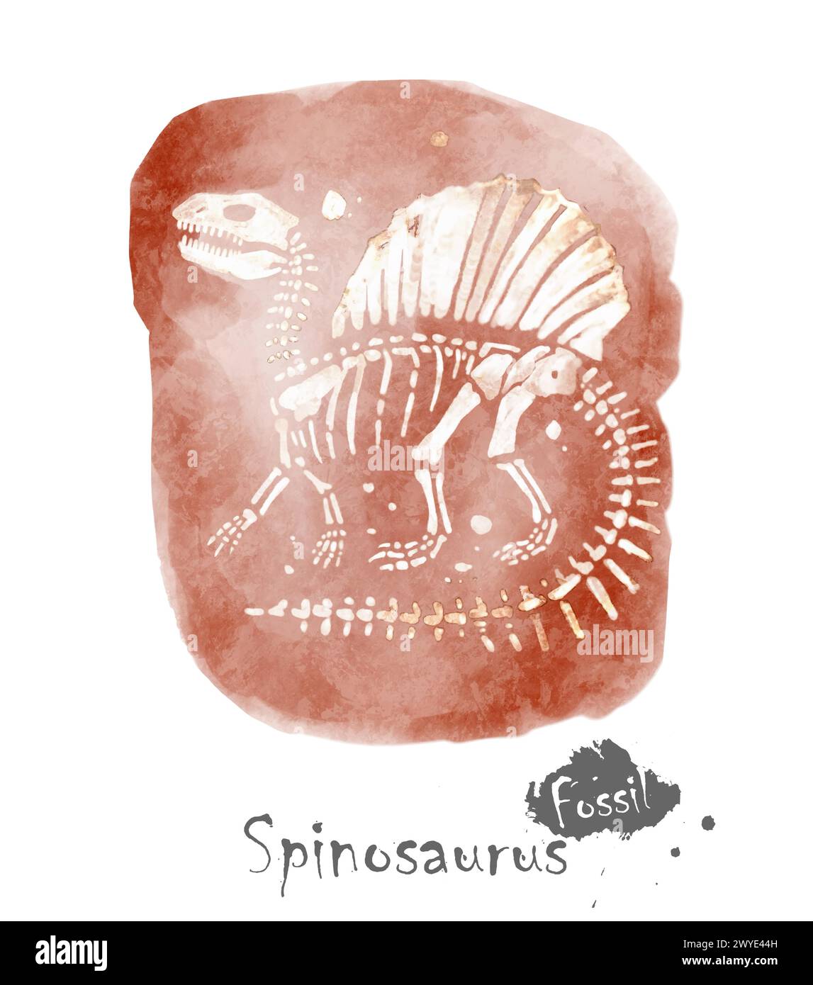 Fossil of Spinosaurus dinosaur in rock . Watercolor paint design ...