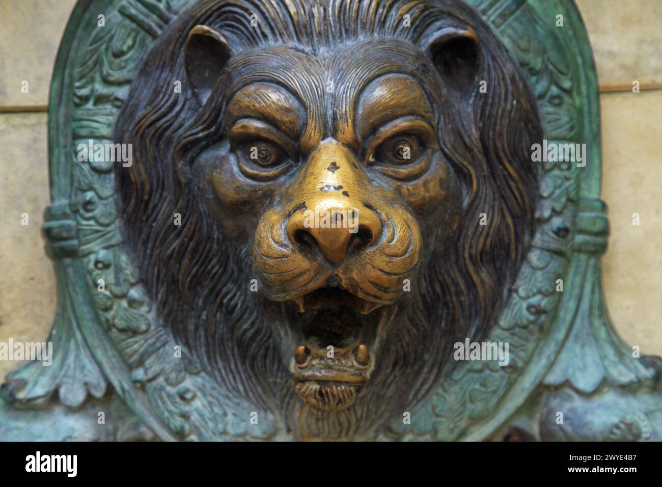 Bronze lion head. Mascaron, bas-relief, high relief of an animal in ...