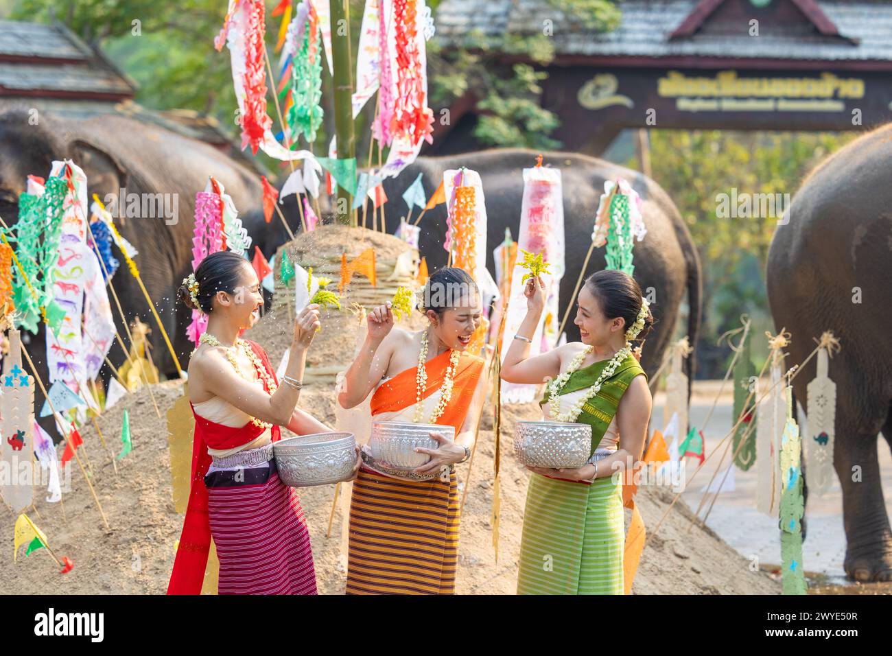 Songkran festival. Northern Thai people in Traditional clothes dressing ...