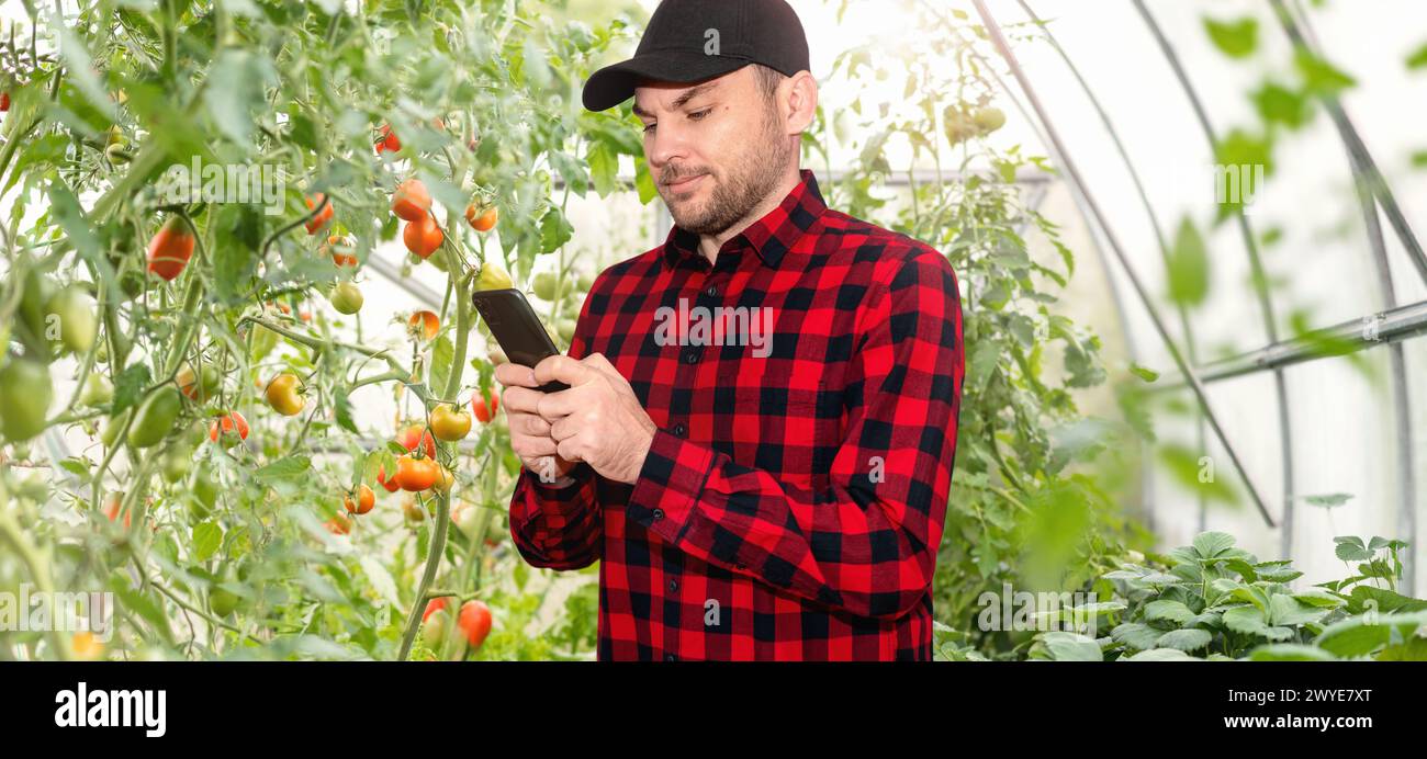 Modern farmer uses his smartphone while standing in agricultural bio ...