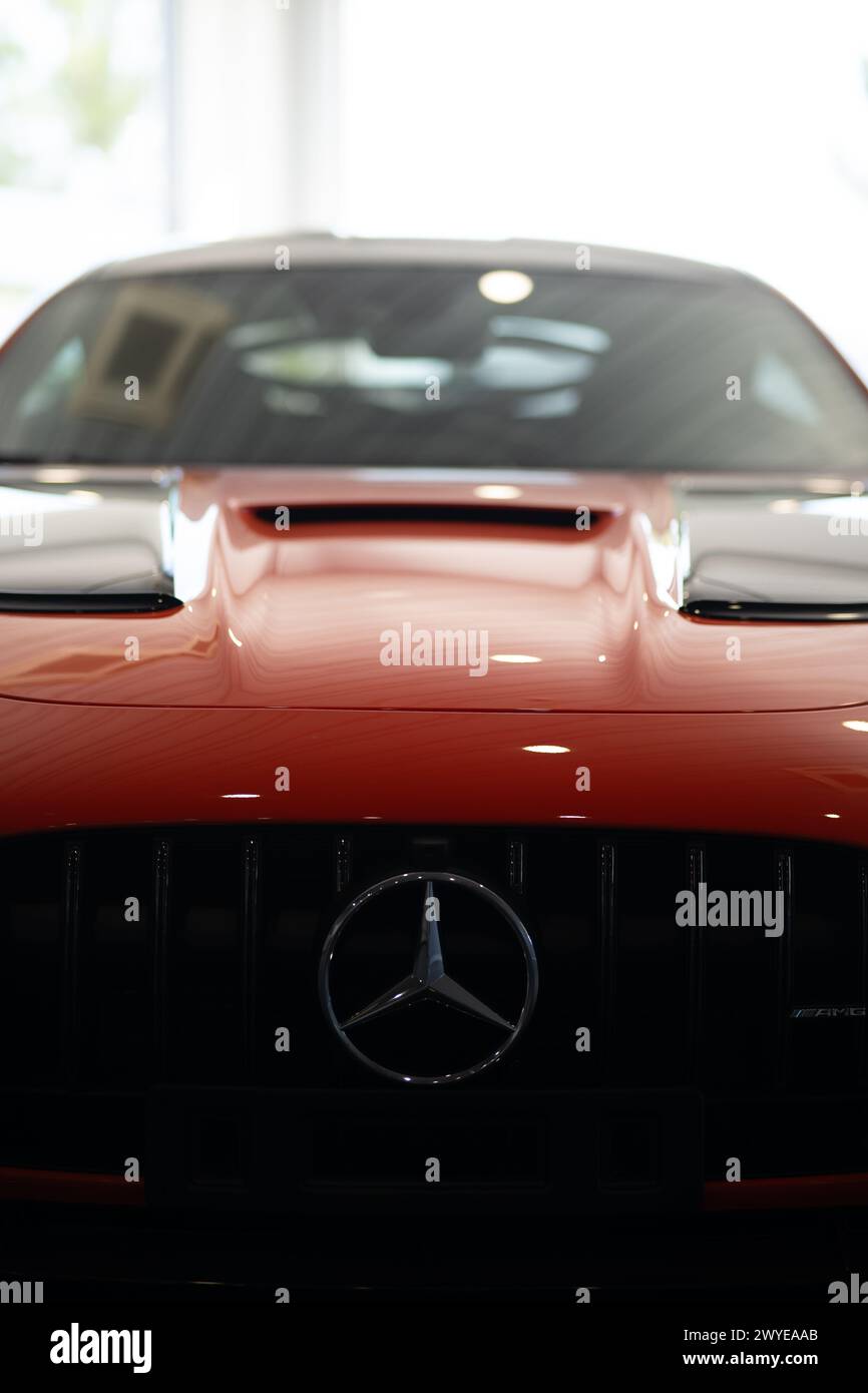 The rare supercar from the Mercedes AMG Division. The GT Black Series ...