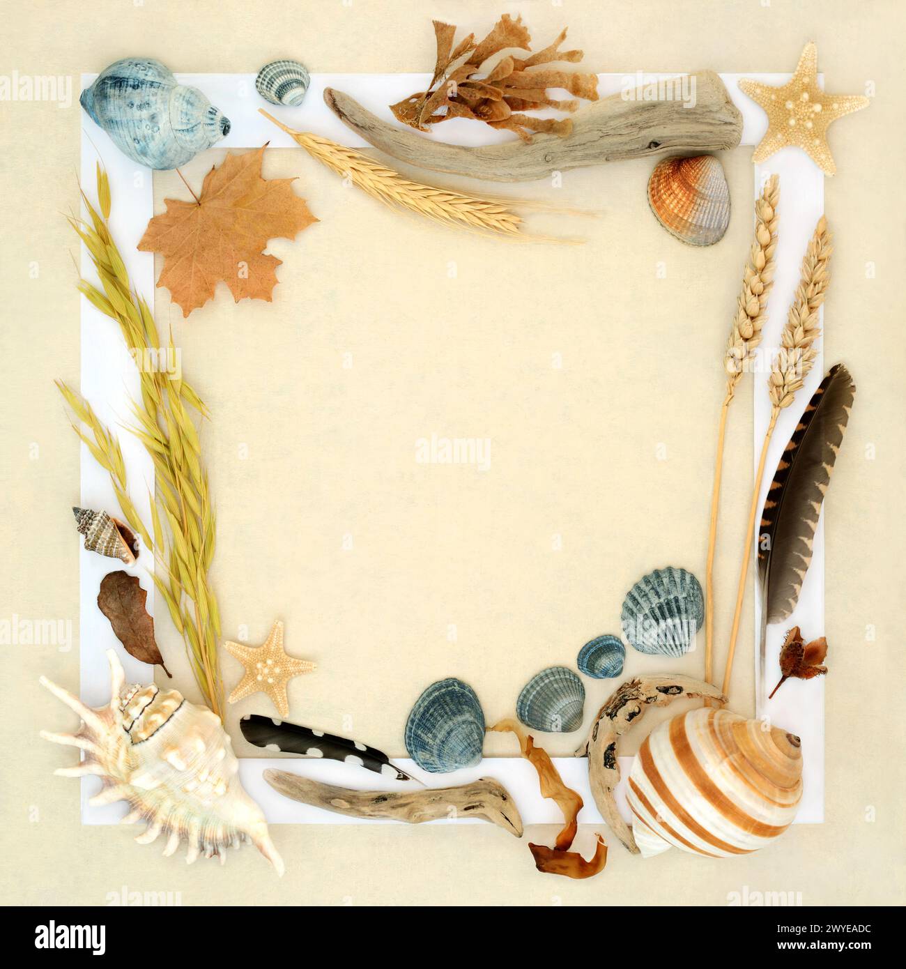 Natural nature object collage background border design with feathers ...