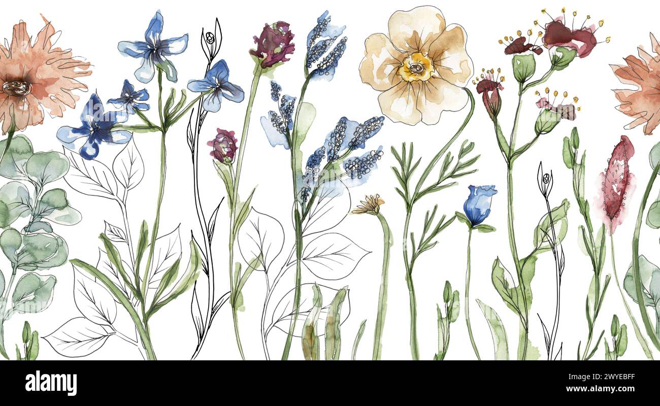Watercolor wildflowers seamless border illustration, meadow flowers ...