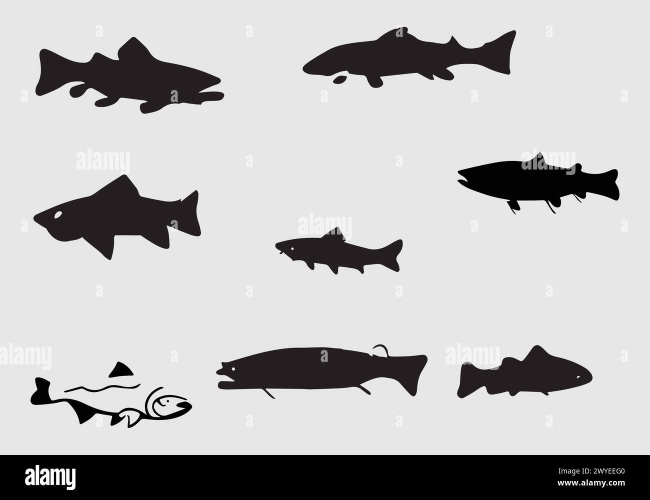 Bull trout Black and White Stock Photos & Images - Alamy