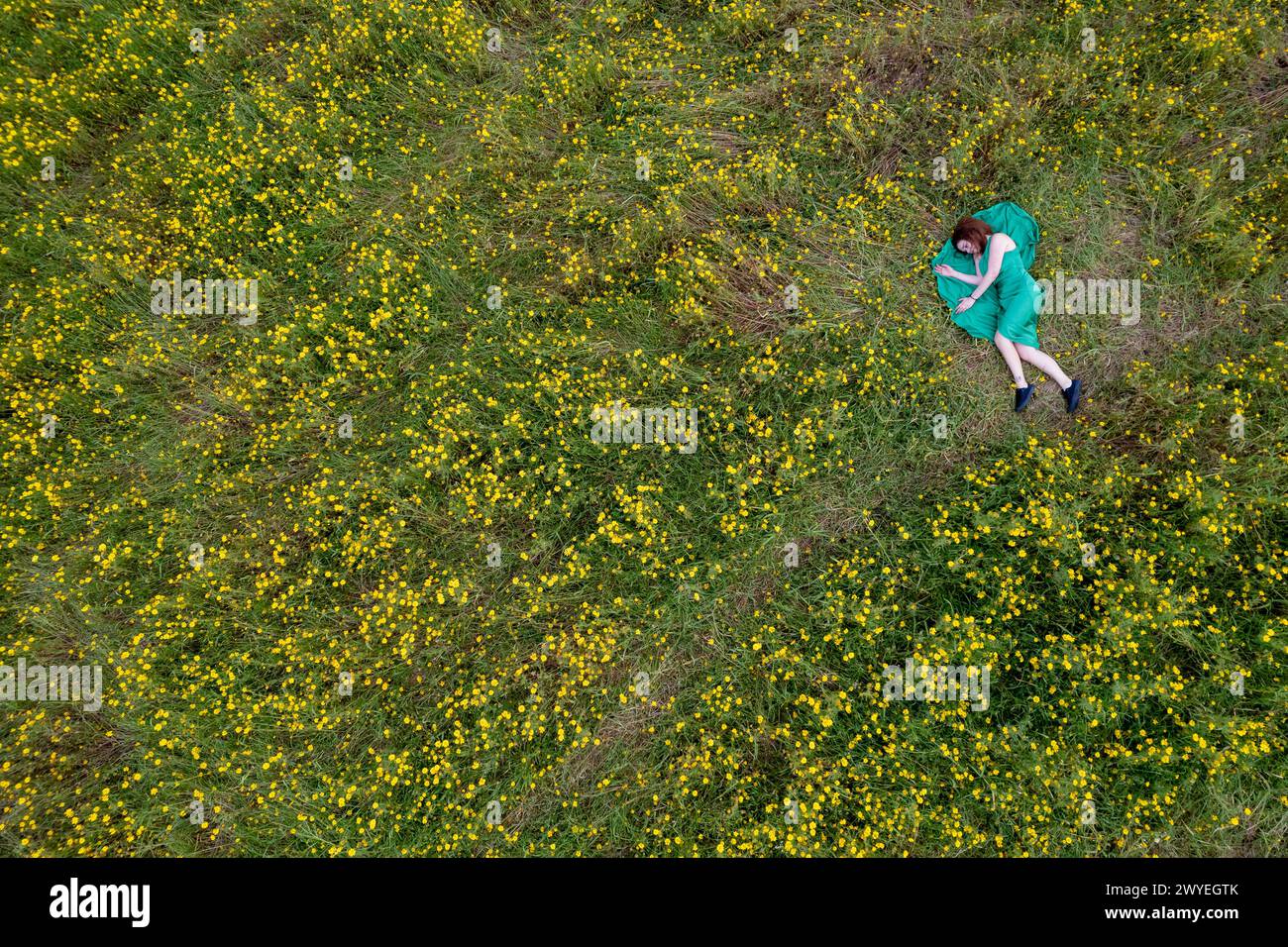 overhead view of woman laying down on blooming meadow grass field ...