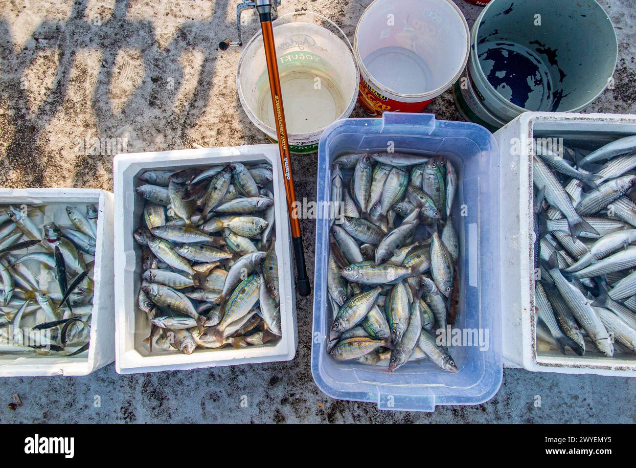 Catch buckets hi-res stock photography and images - Alamy