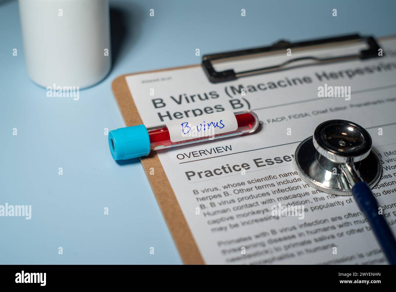 B Virus,herpes B, monkey B virus, Herpesvirus simiae,Herpes virus B ...