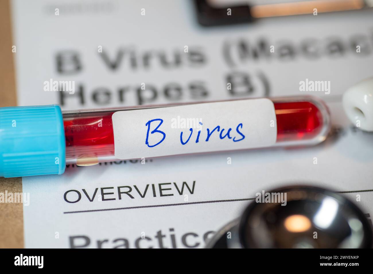 Macaque monkey lab hi-res stock photography and images - Alamy