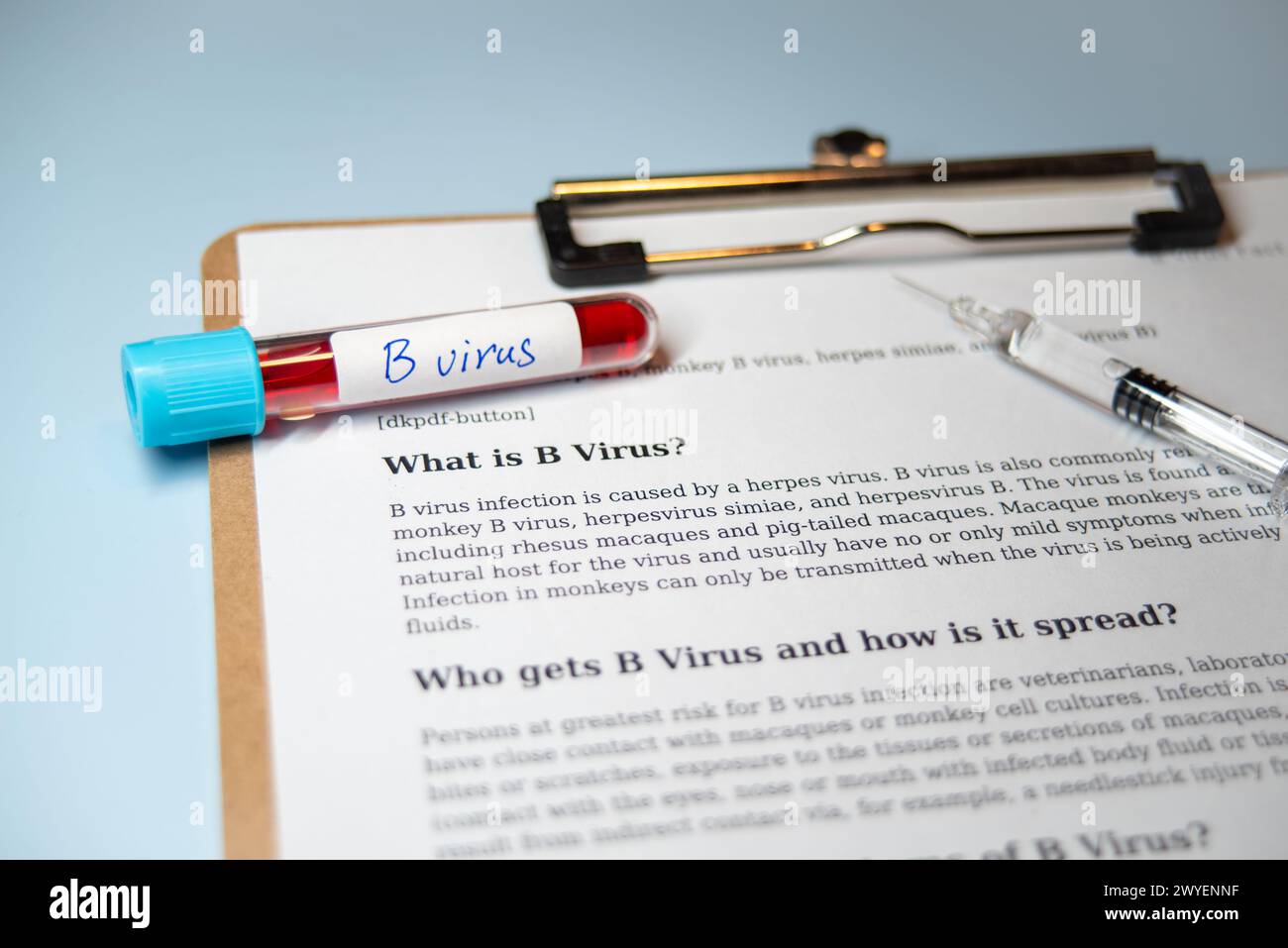 B Virus,herpes B, monkey B virus, Herpesvirus simiae,Herpes virus B ...