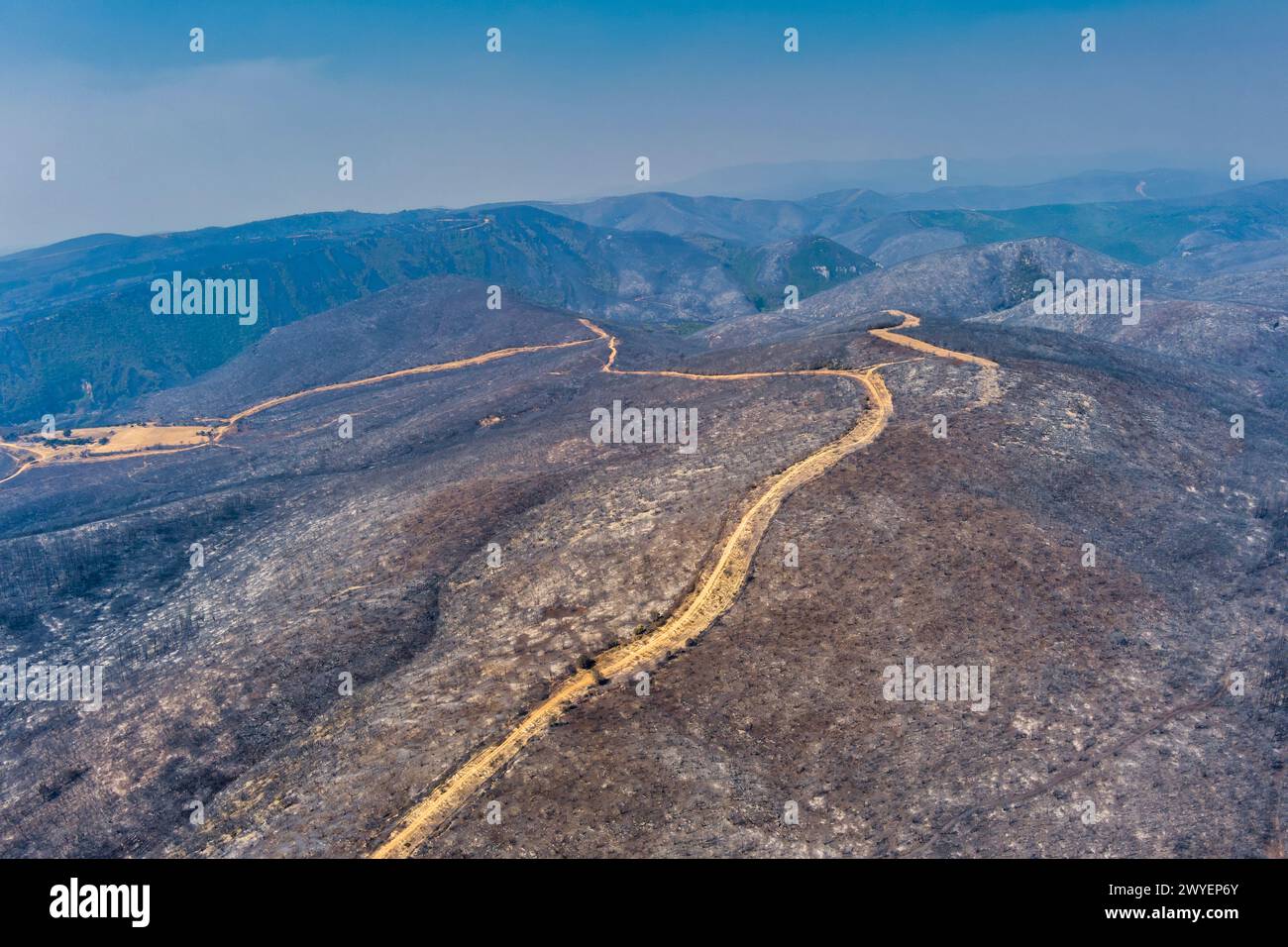 Aerial view shows a burnt area after a fire in Evros prefecture in ...