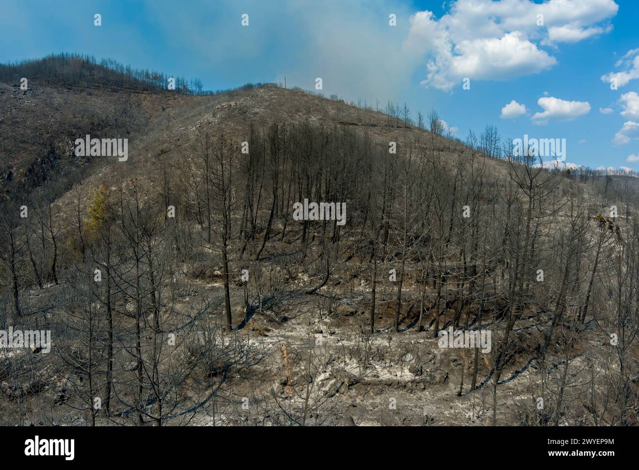 Aerial view shows a burnt area after a fire in Evros prefecture in northern Greece in the ...