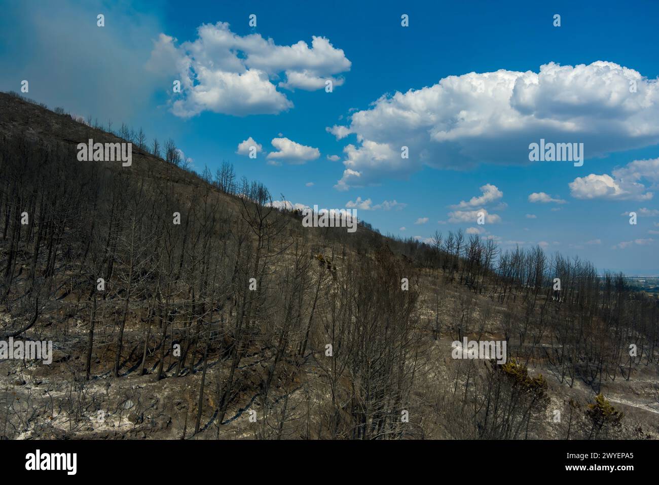 Aerial view shows a burnt area after a fire in Evros prefecture in ...