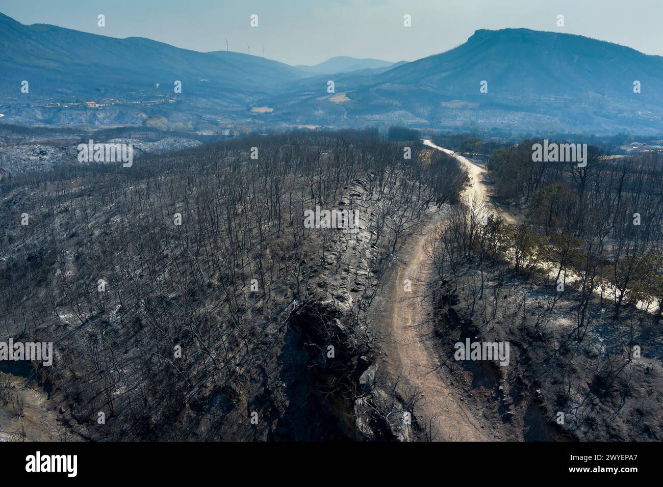 Aerial view shows a burnt area after a fire in Evros prefecture in ...
