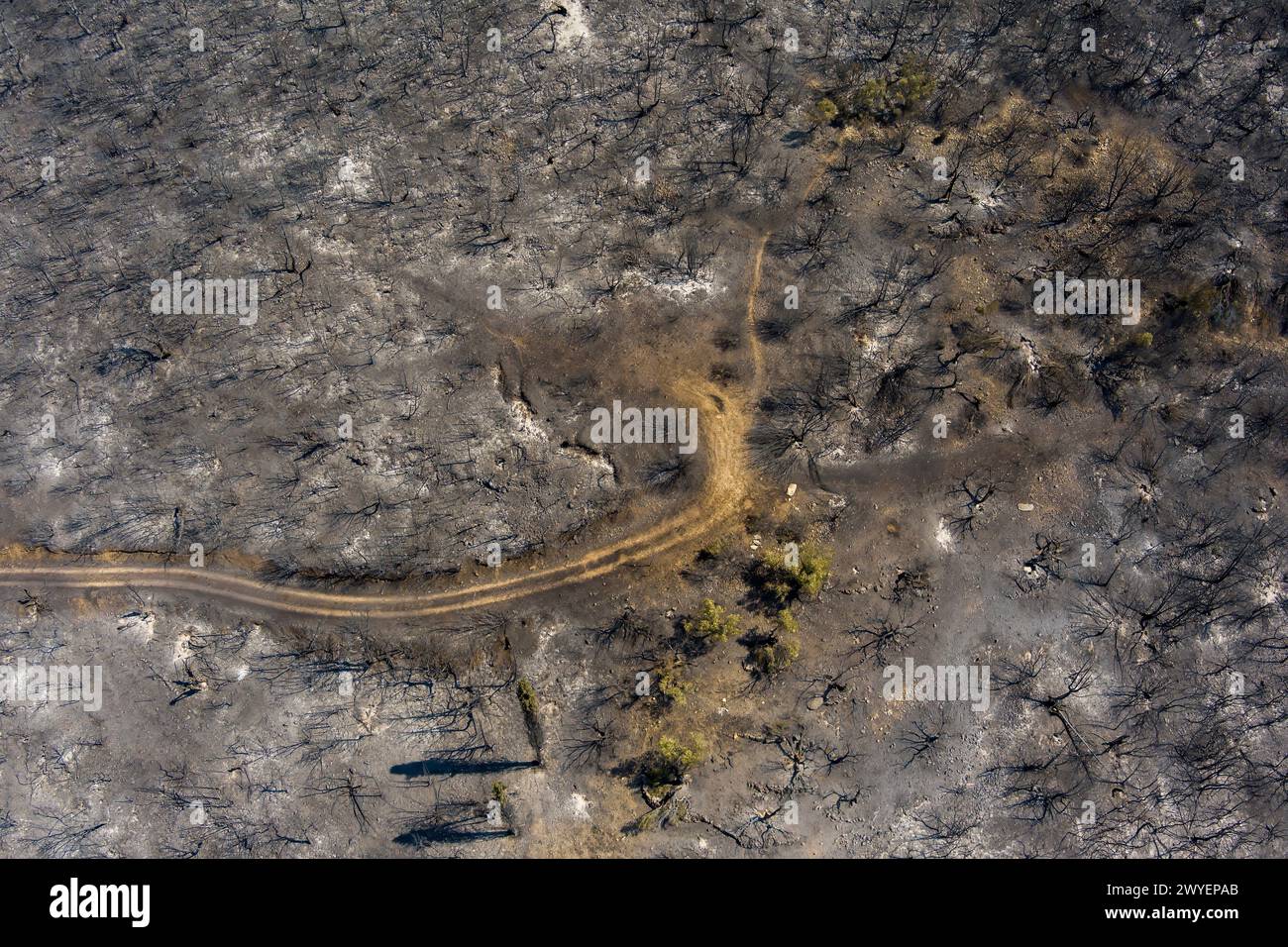 Aerial view shows a burnt area after a fire in Evros prefecture in ...
